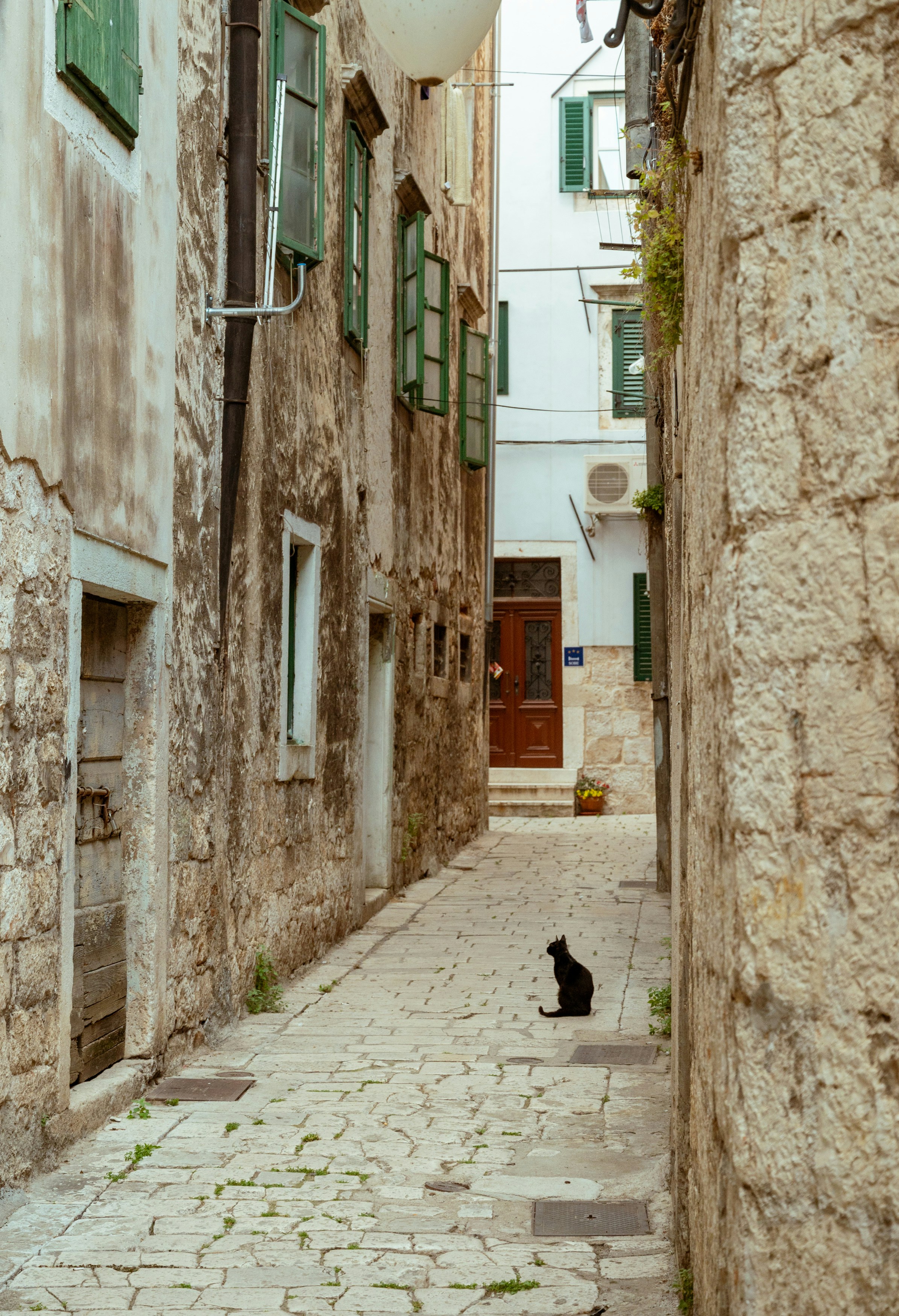 a black cat sitting on a cobblestone street
