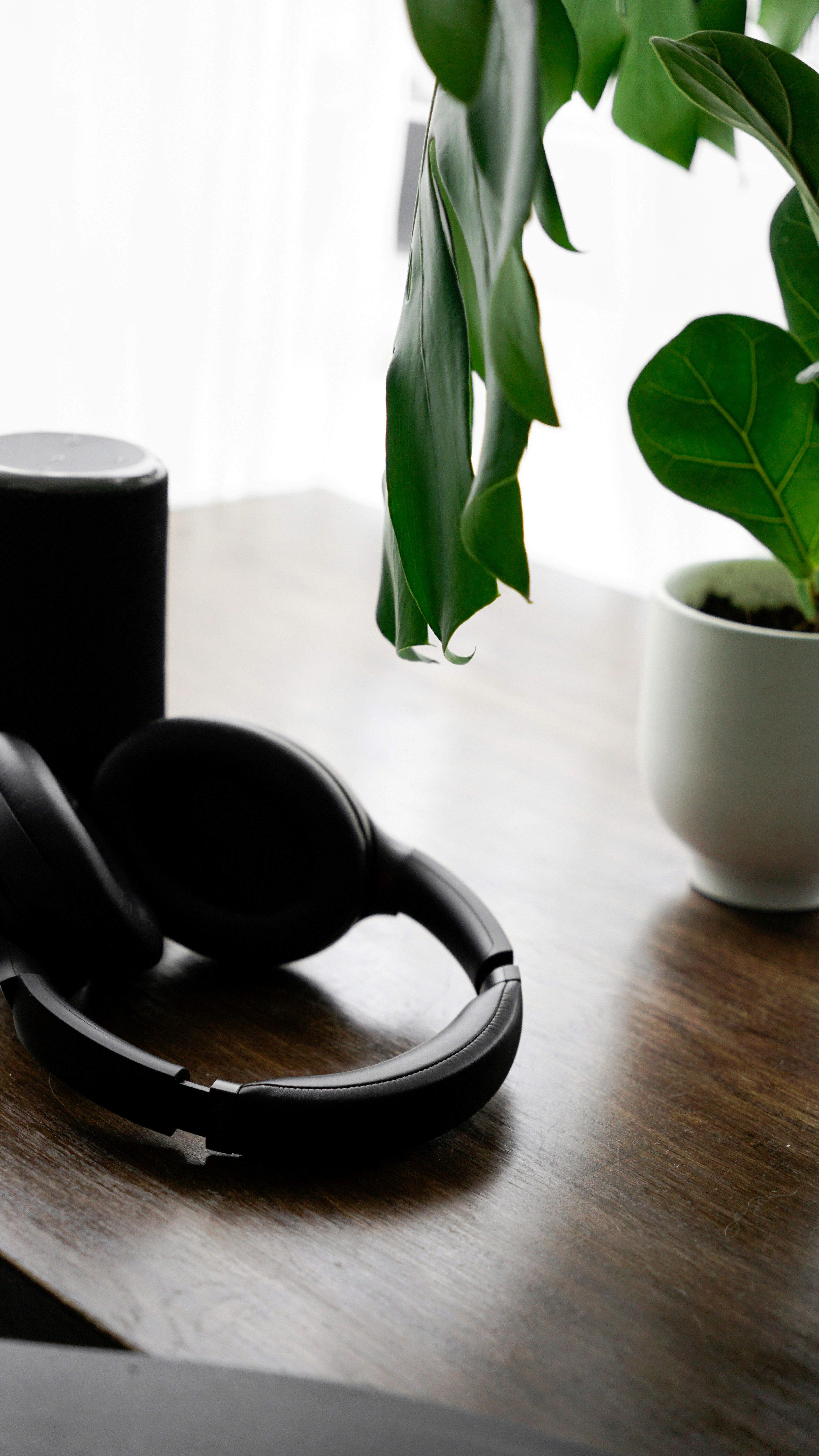 Black headphones resting on a wooden table beside a potted plant and a speaker. The composition blends technology and greenery.