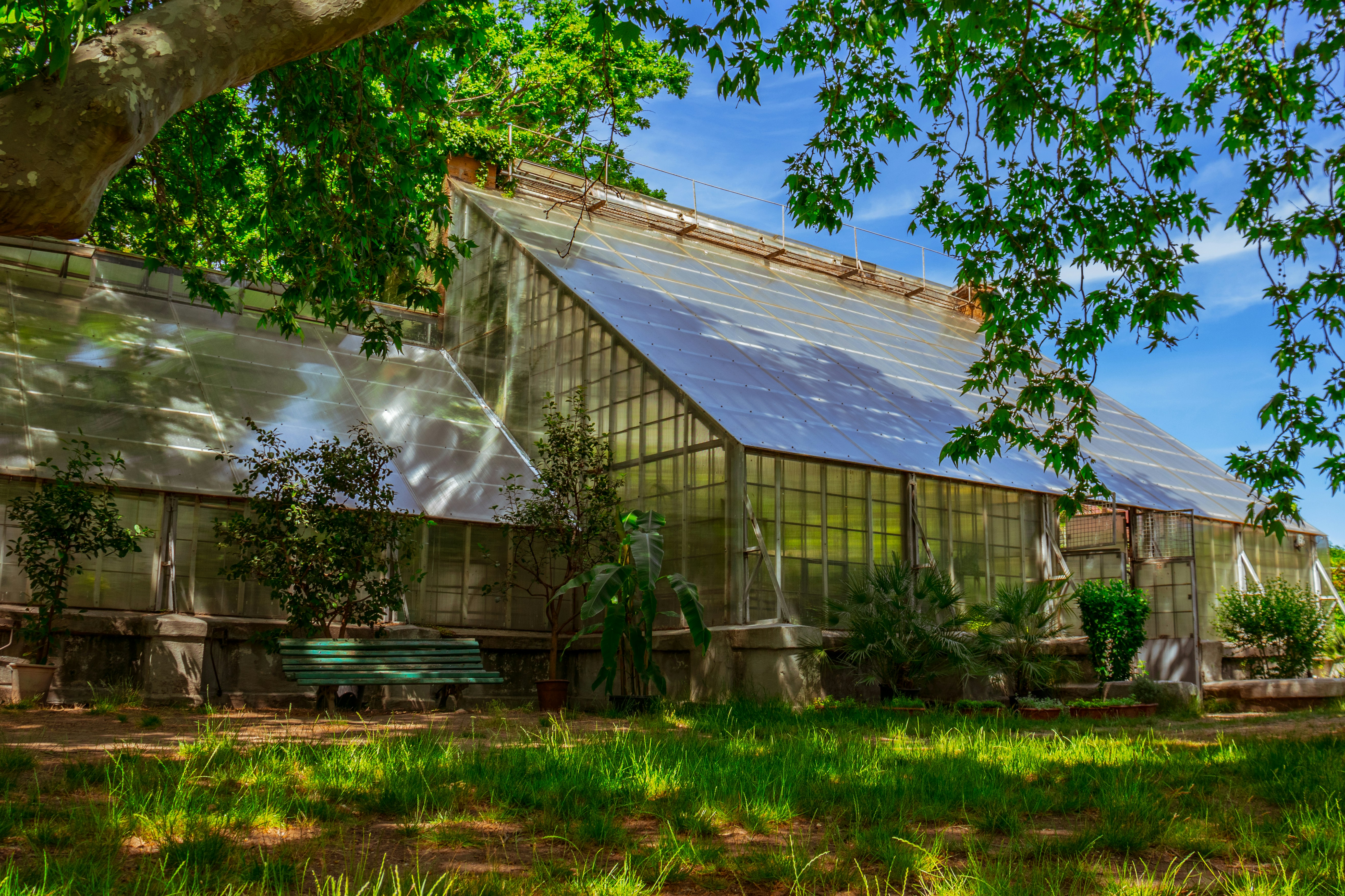 A charming greenhouse surrounded by lush greenery, showcasing its glass structure under a clear blue sky. The scene invites a sense of tranquility.