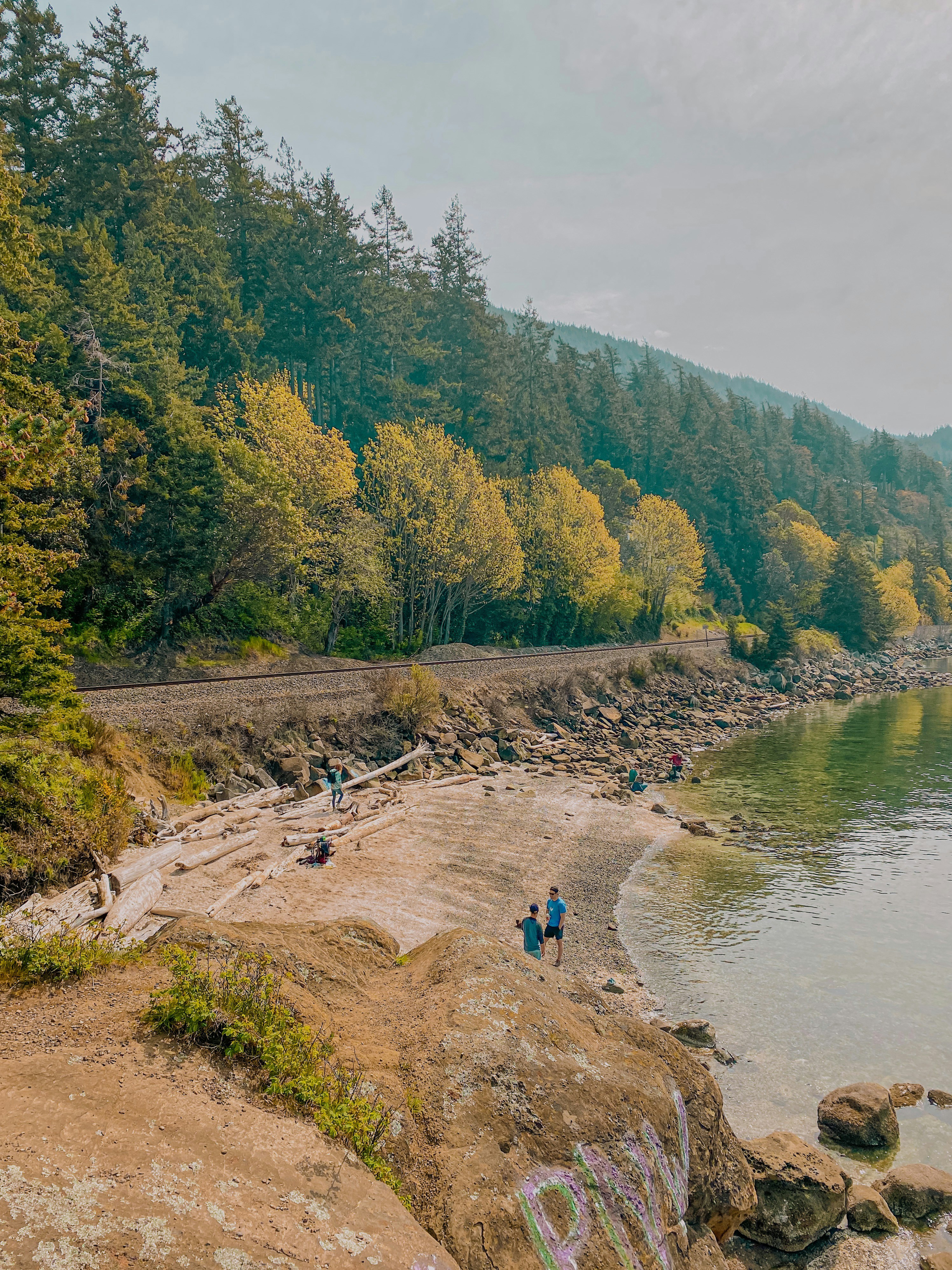 Bilder zum Thema Teddy Bear Cove Chuckanut Mountain Trails | Kostenlose ...