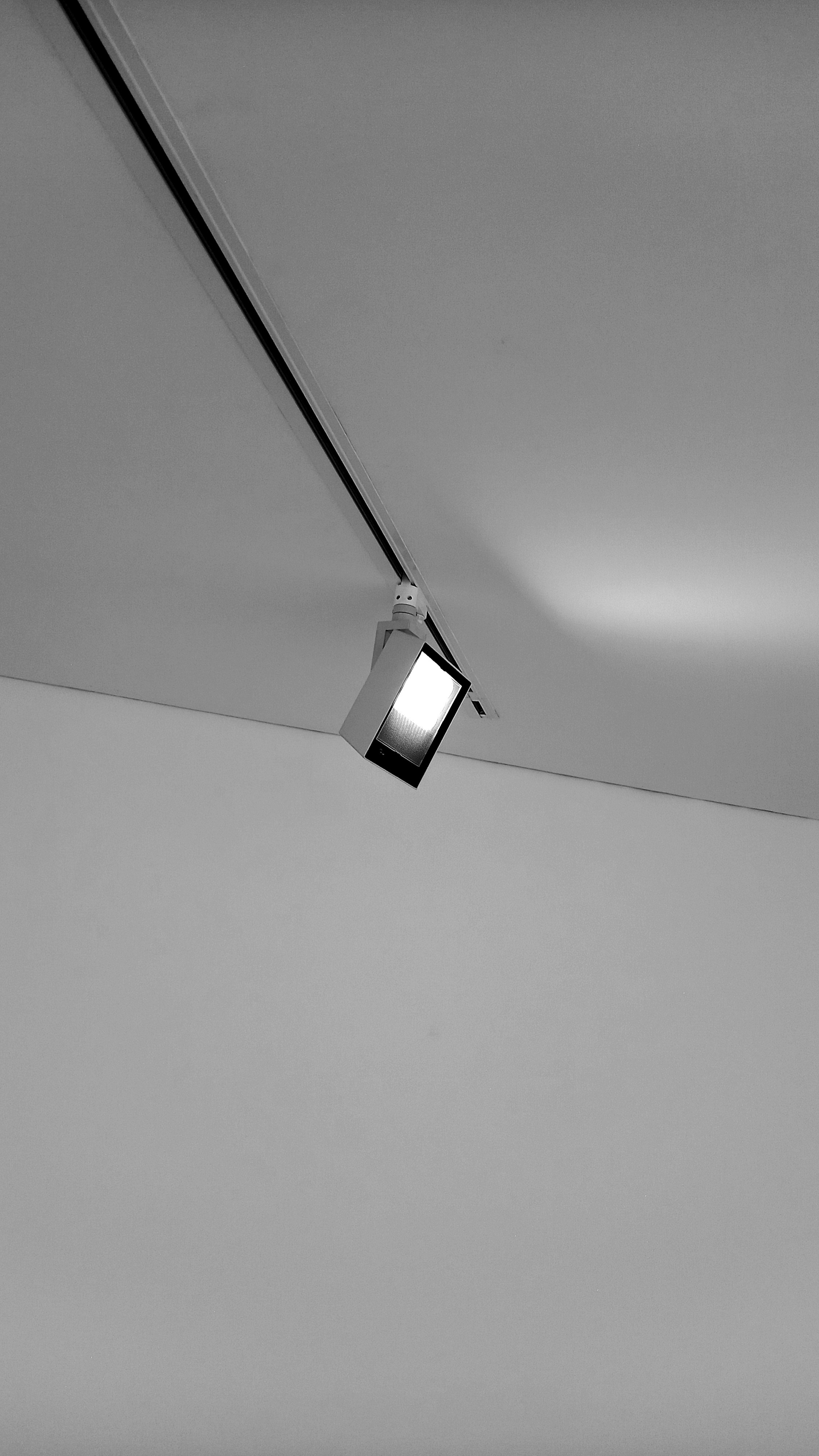 Photo by Frank Weichelt with Samsung Galaxy A41