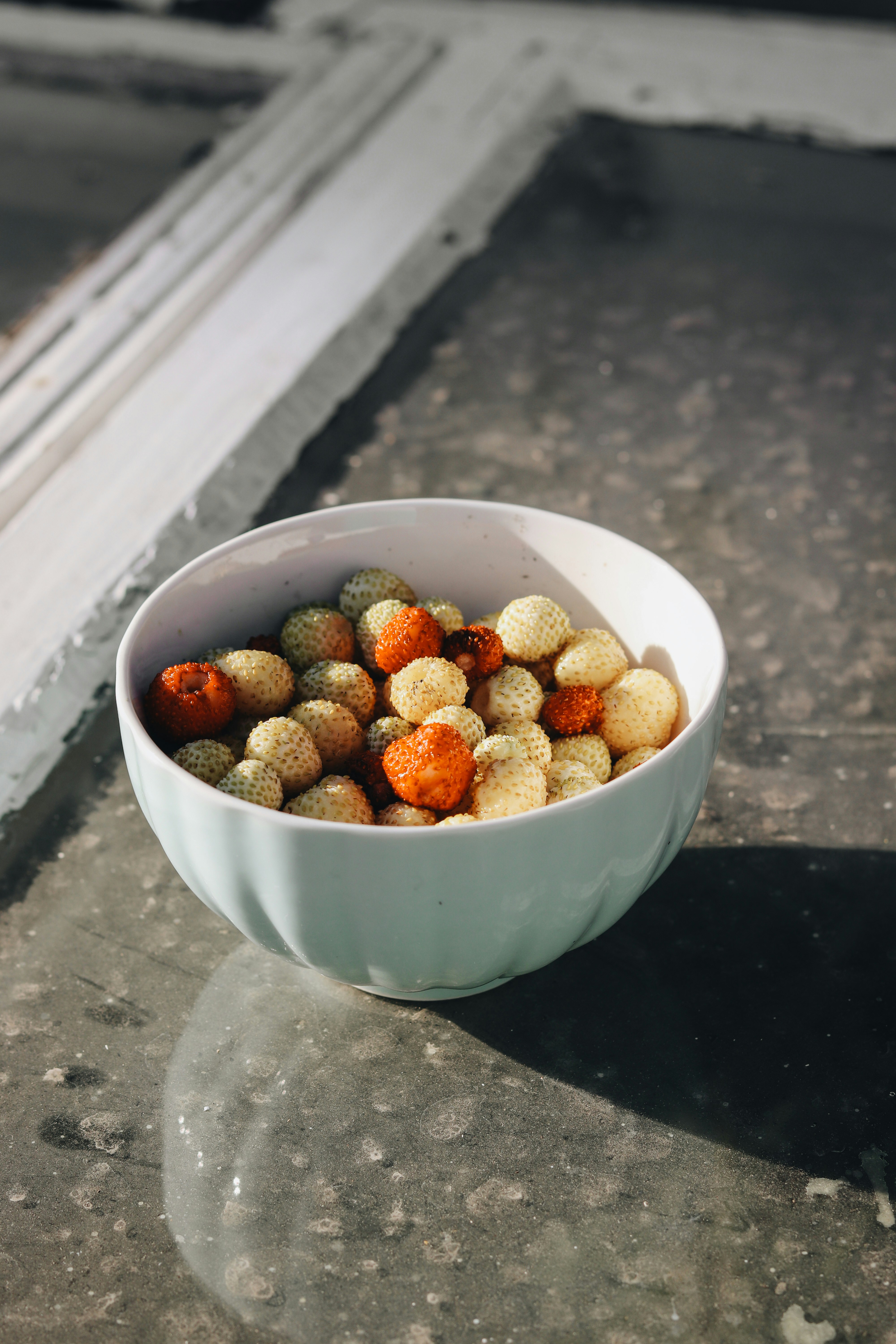 Ceramic bowl of berries sits on a sunlit concrete ledge
