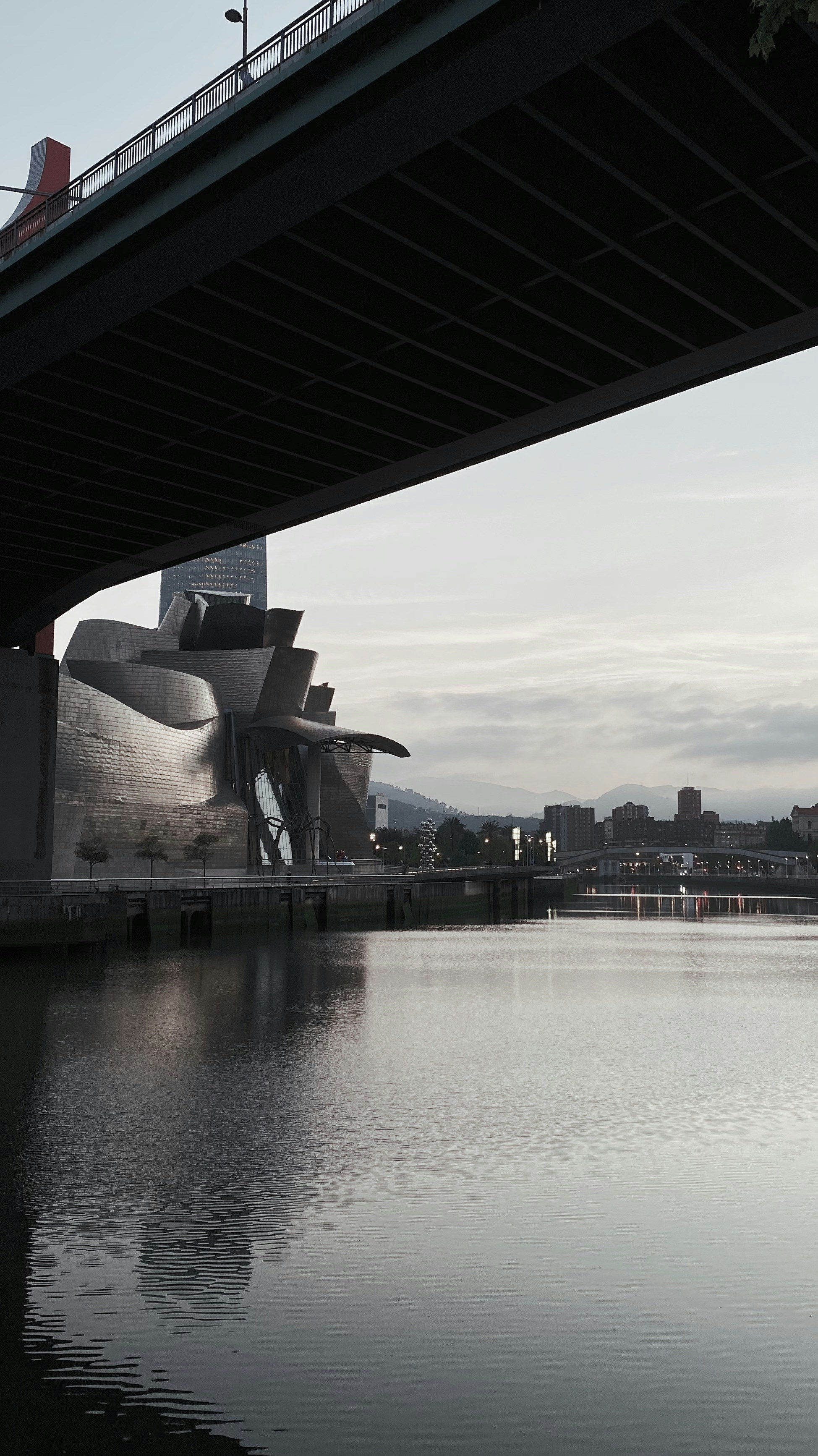 Under the Overpass: Titanium Waves Reflecting a Quiet Riverside