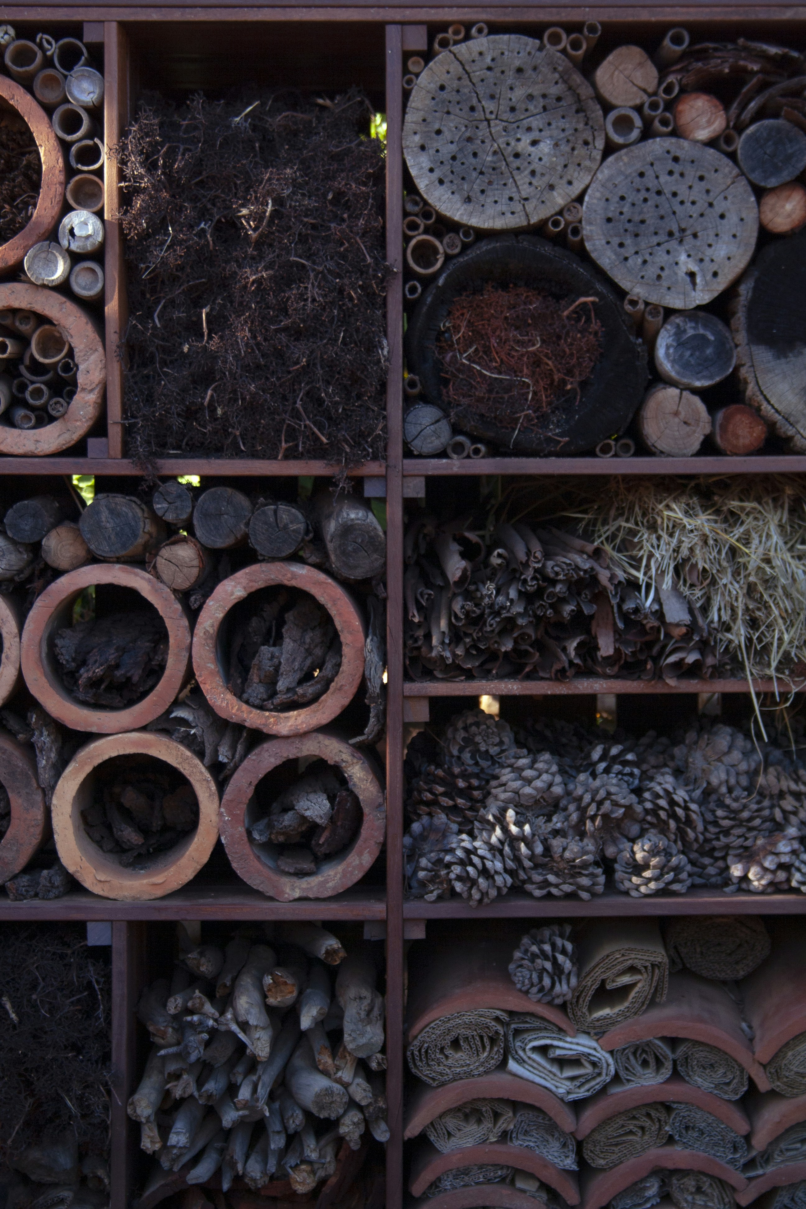 A bunch of different types of items in a box photo – Free Cape town ...