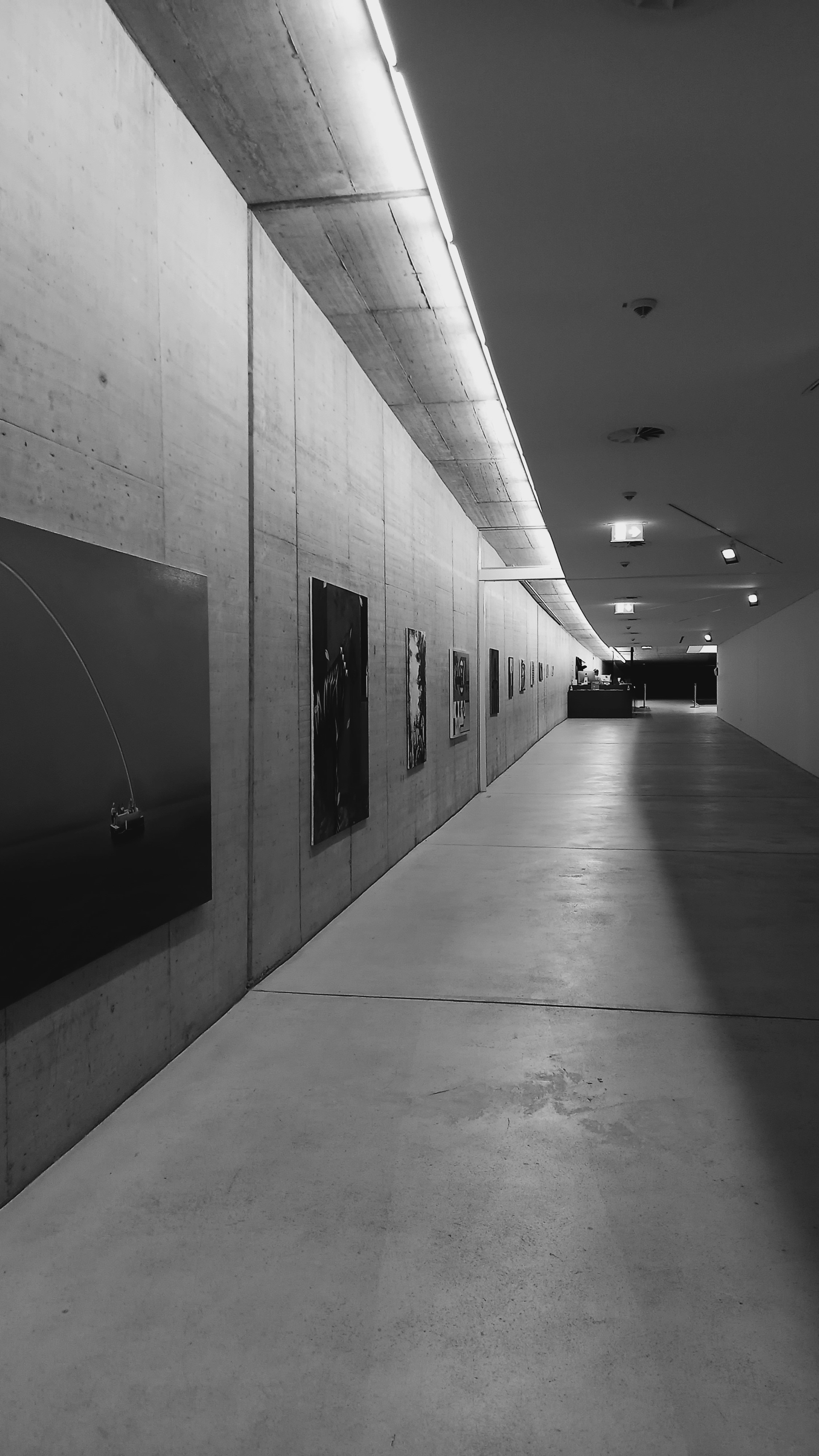 Photo by Frank Weichelt with Samsung Galaxy A41