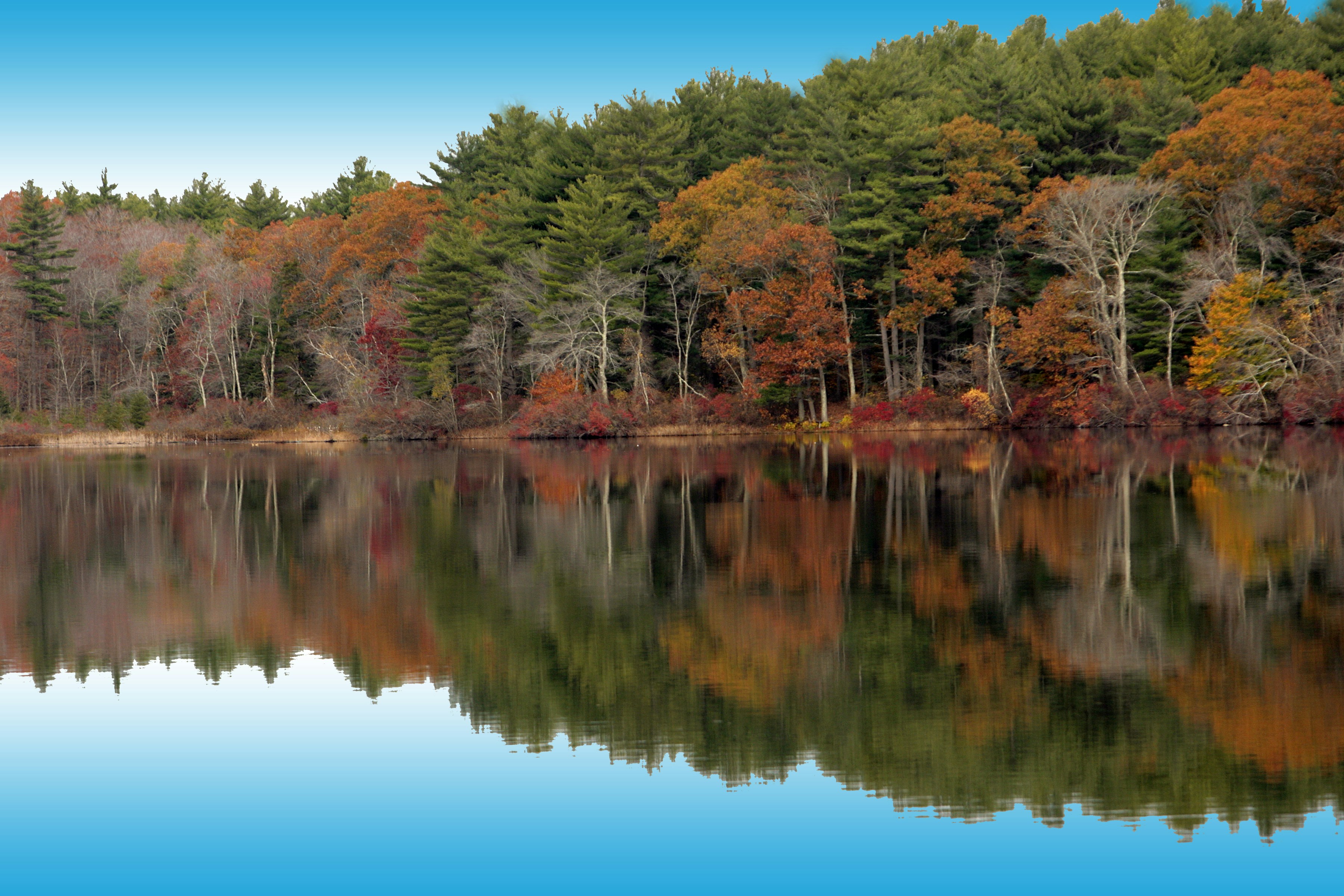Autumn's Reflected Symphony