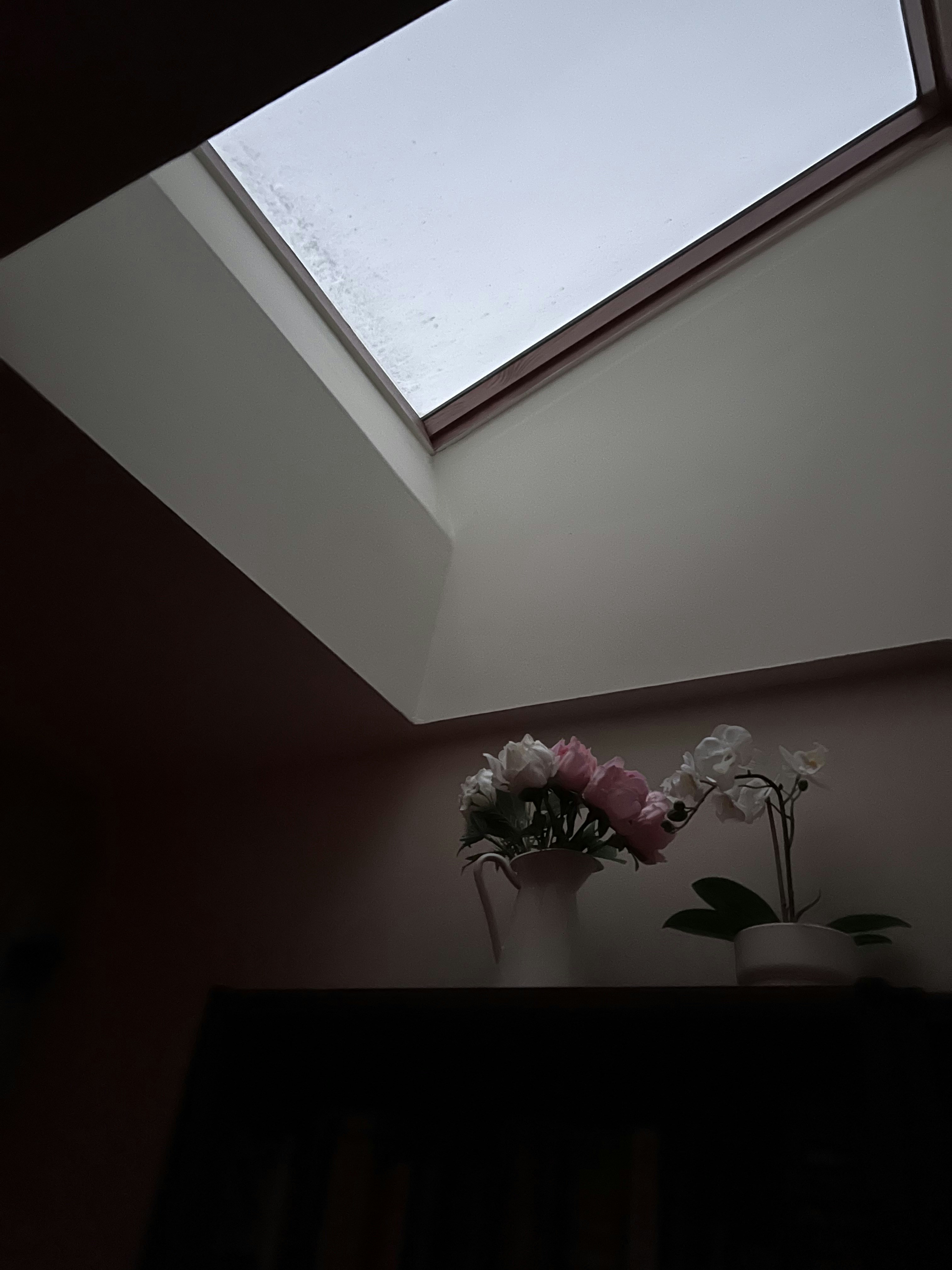 A delicate arrangement of flowers in a vase beneath a skylight, with a cloudy sky visible above. The soft light creates a serene atmosphere.