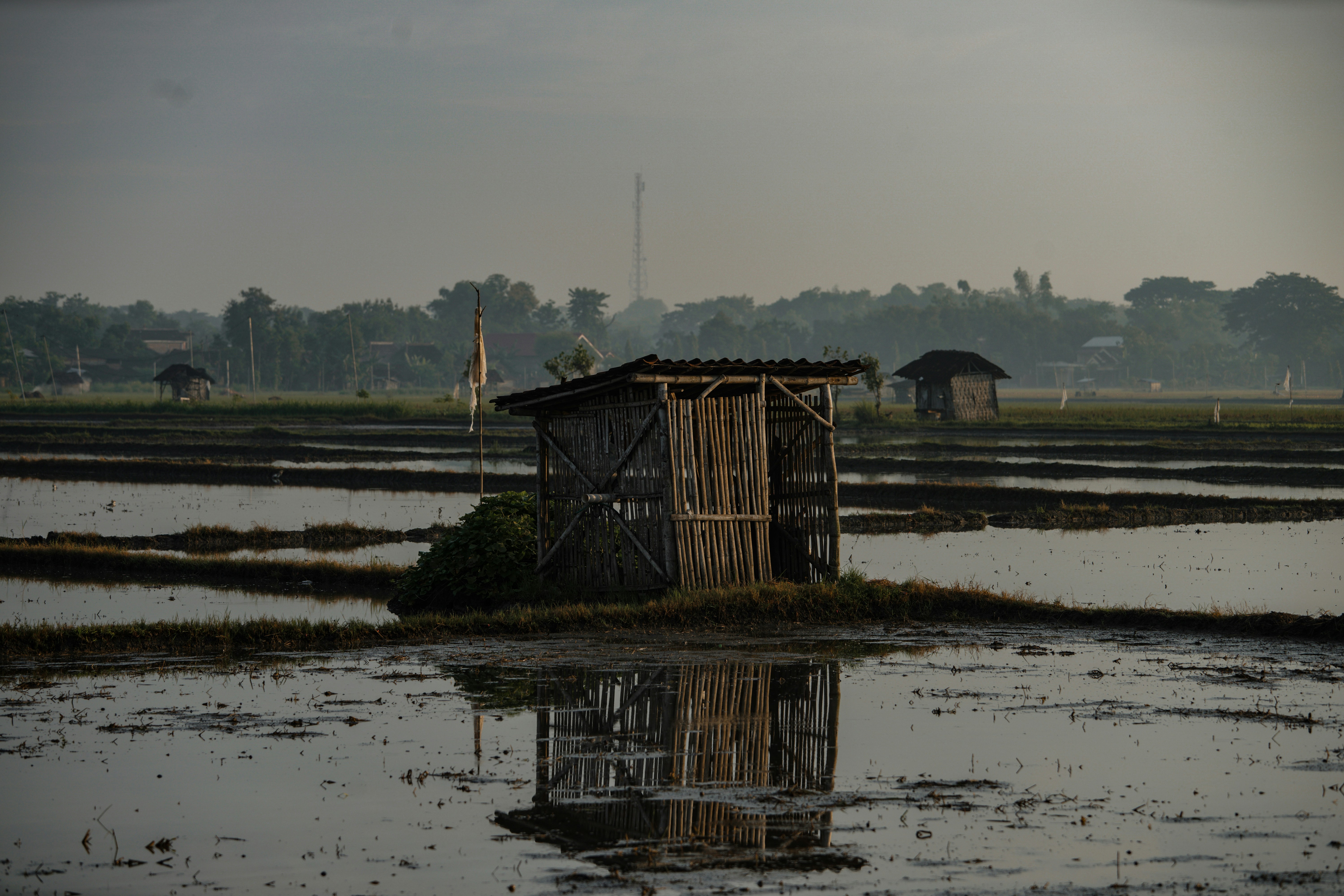 Mud-Flat Refuge: A Hut's Quiet Reflection