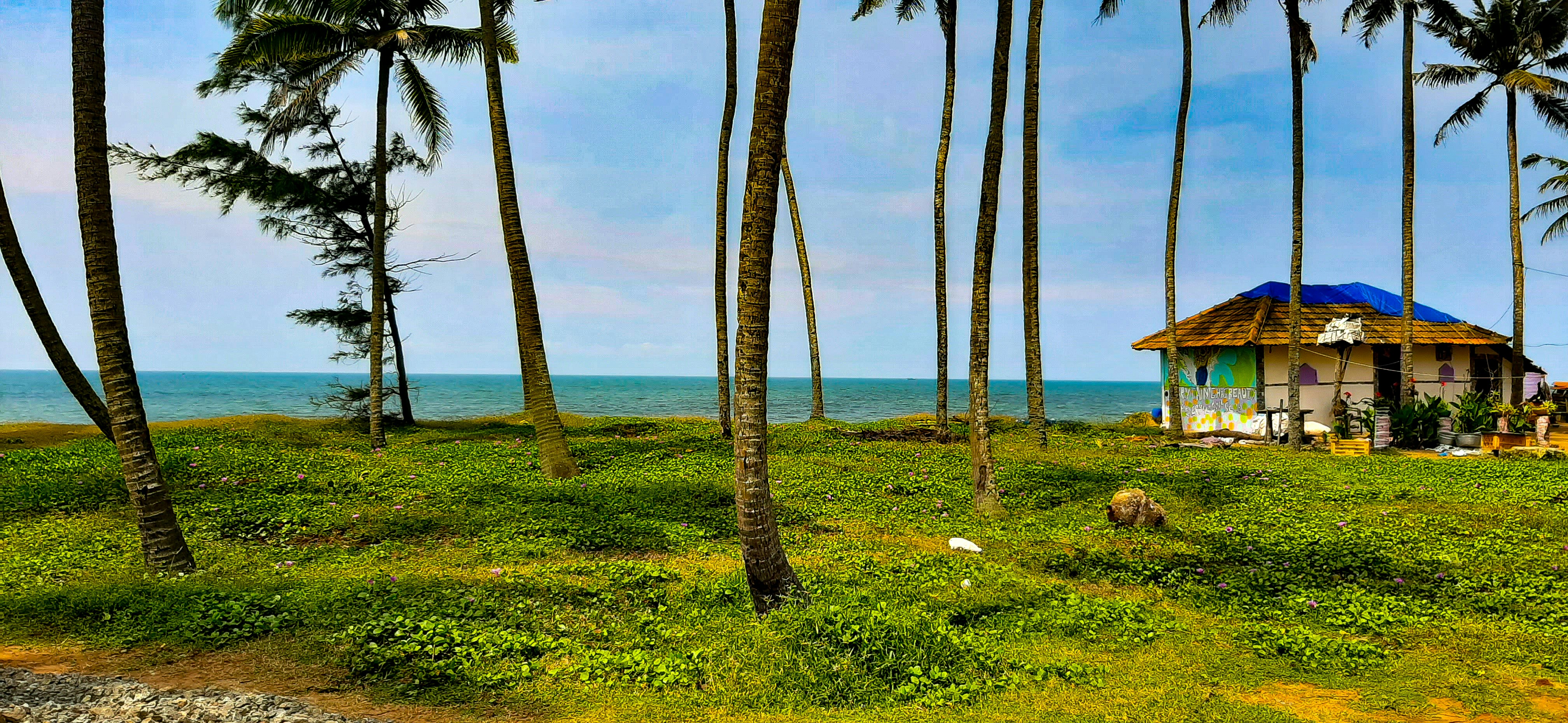 Thatched Horizon: Palm Lanes Framing a Tranquil Beach Hut