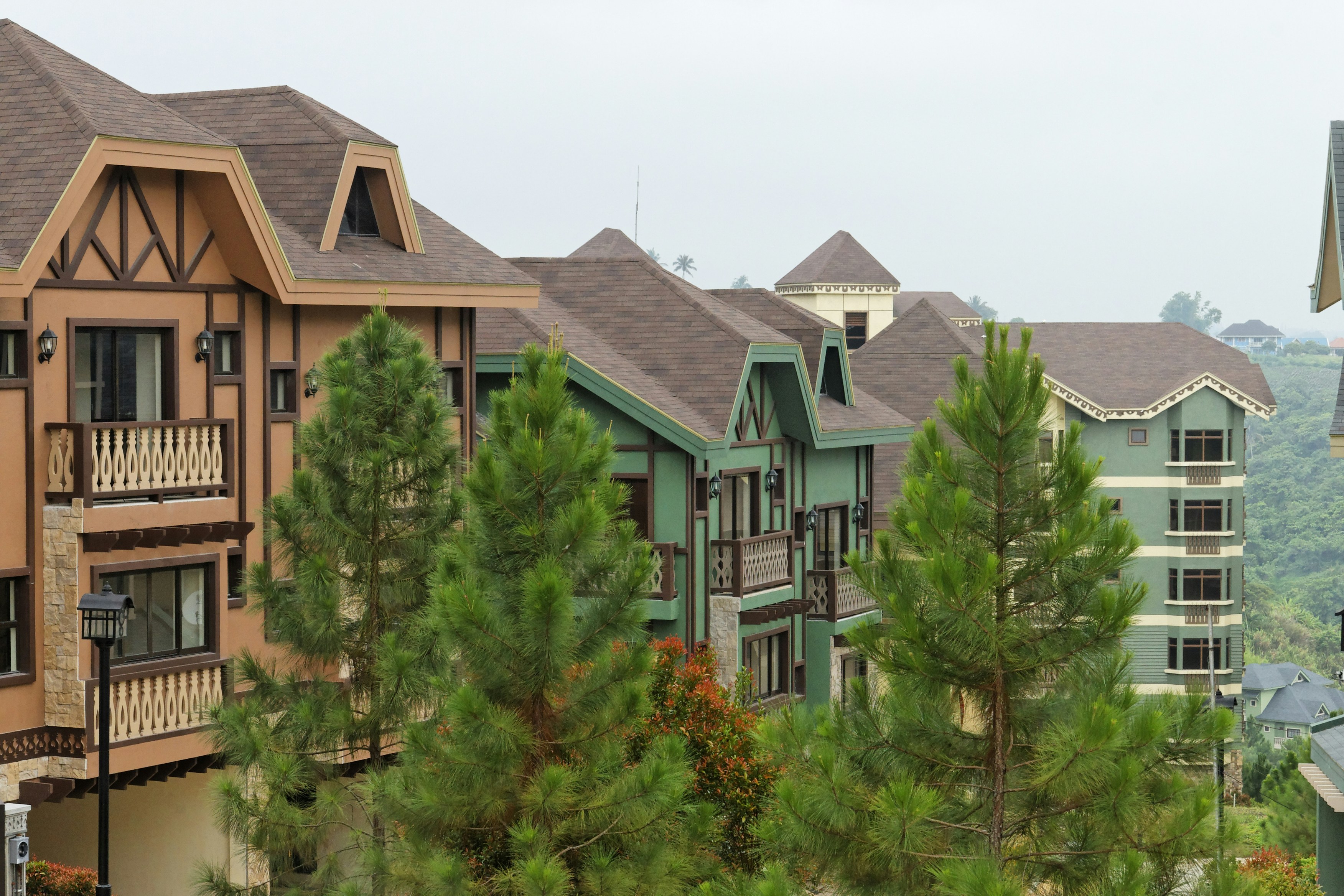 Alpine Elegance Amidst Lush Greenery