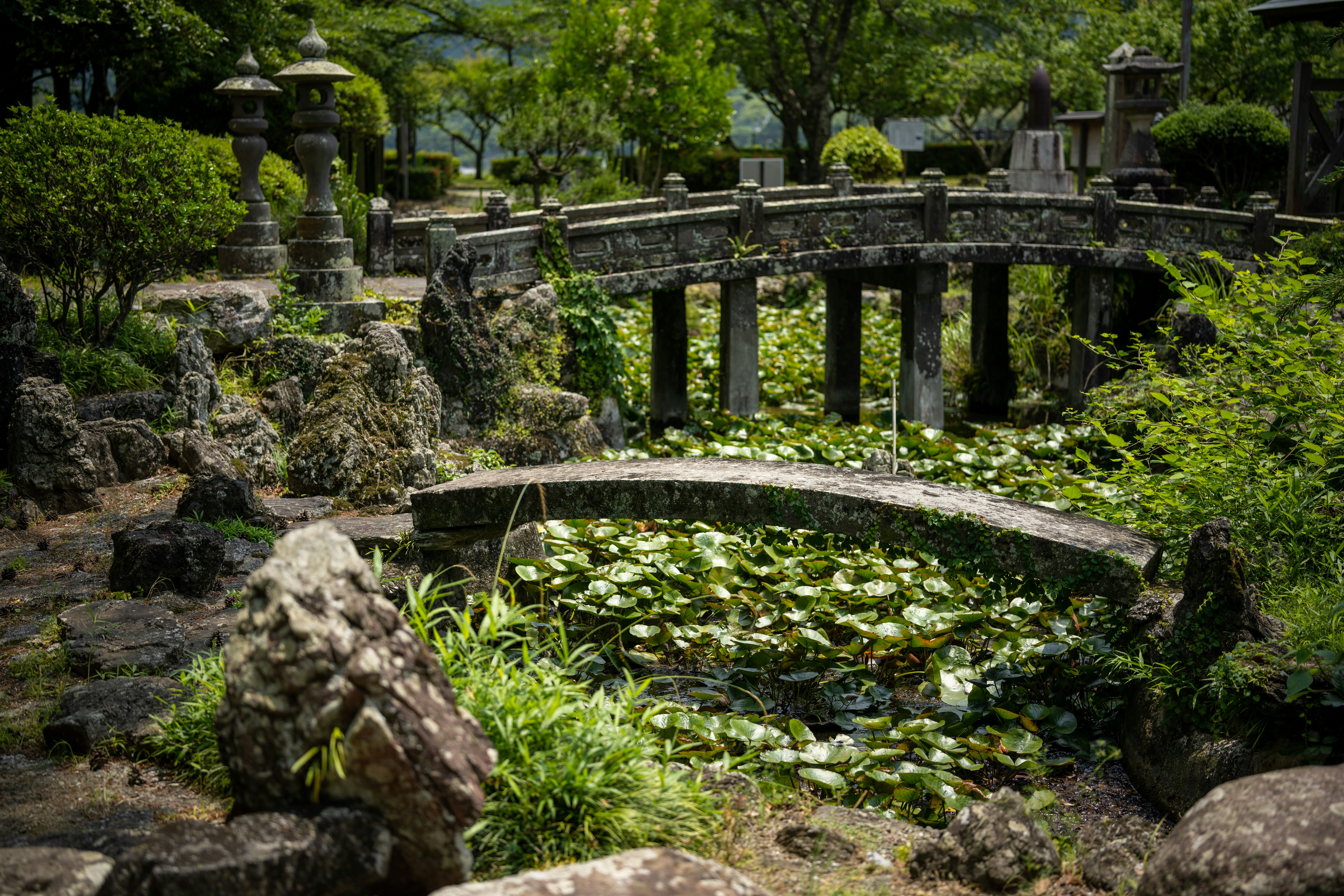 Arch of Serenity: Mossy Garden Bridge Over Lily-Pad Waters