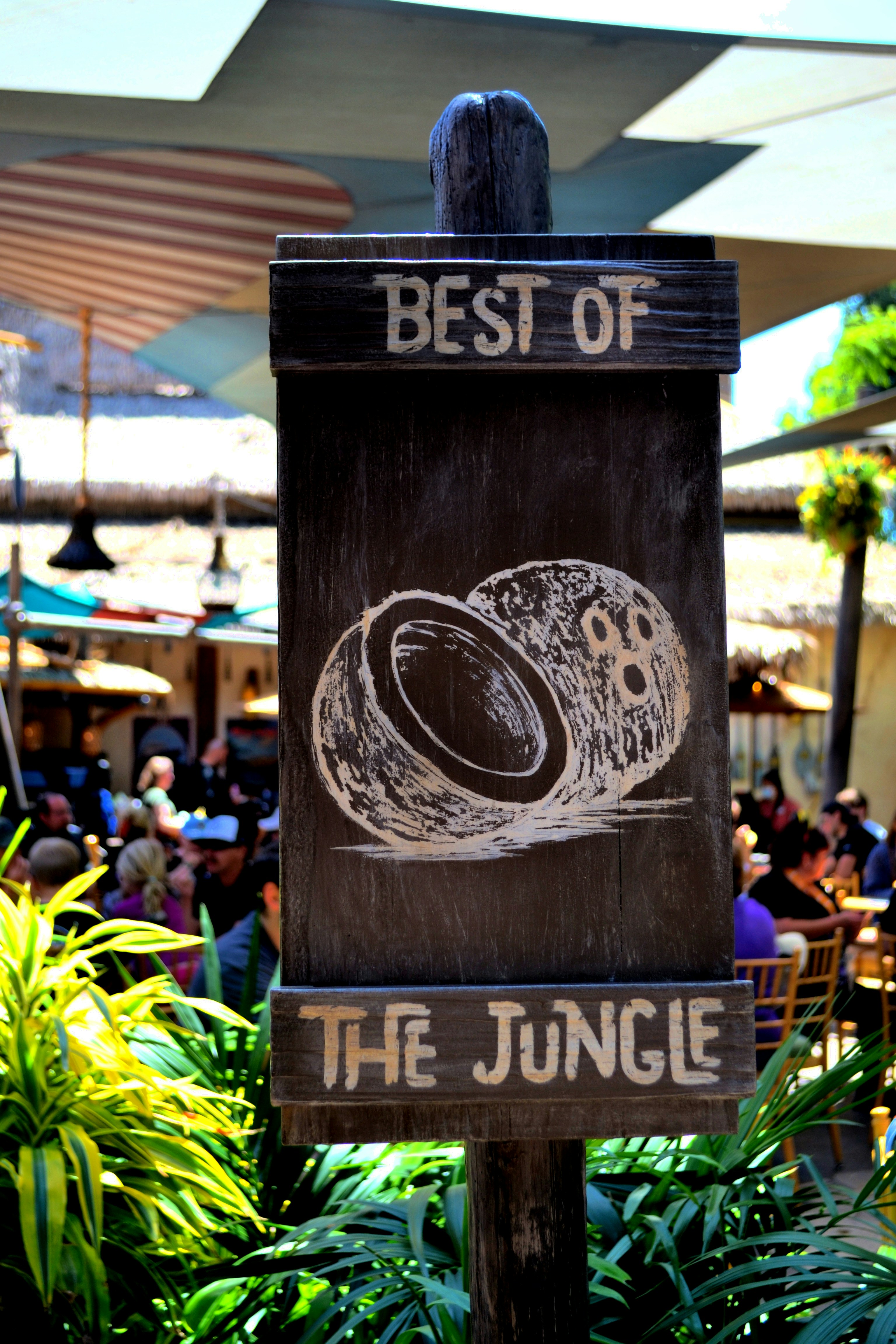 Best of the Jungle: Chalkboard Sign in a Sunlit Outdoor Café