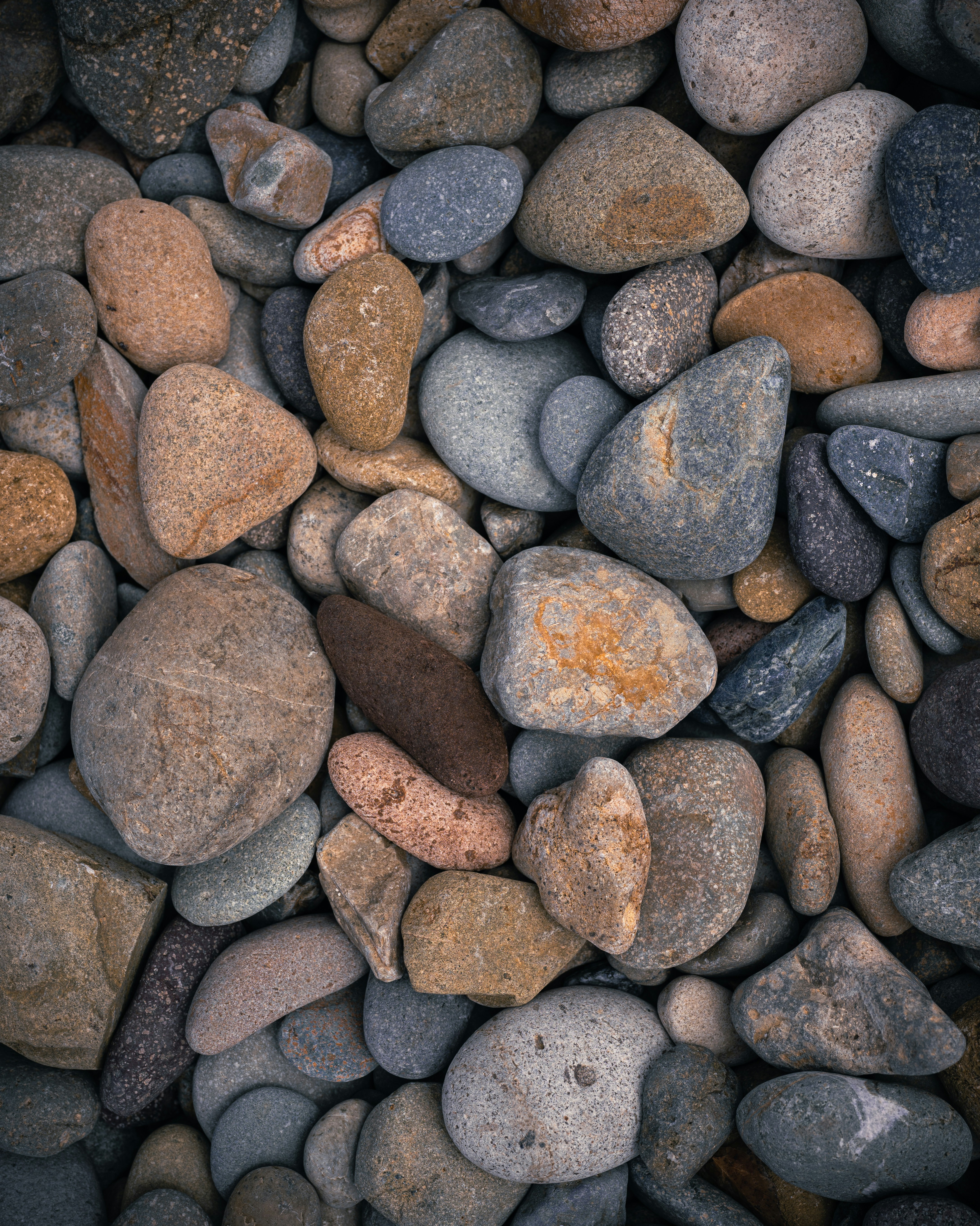 A bunch of rocks that are laying on the ground photo – Free Santa ...