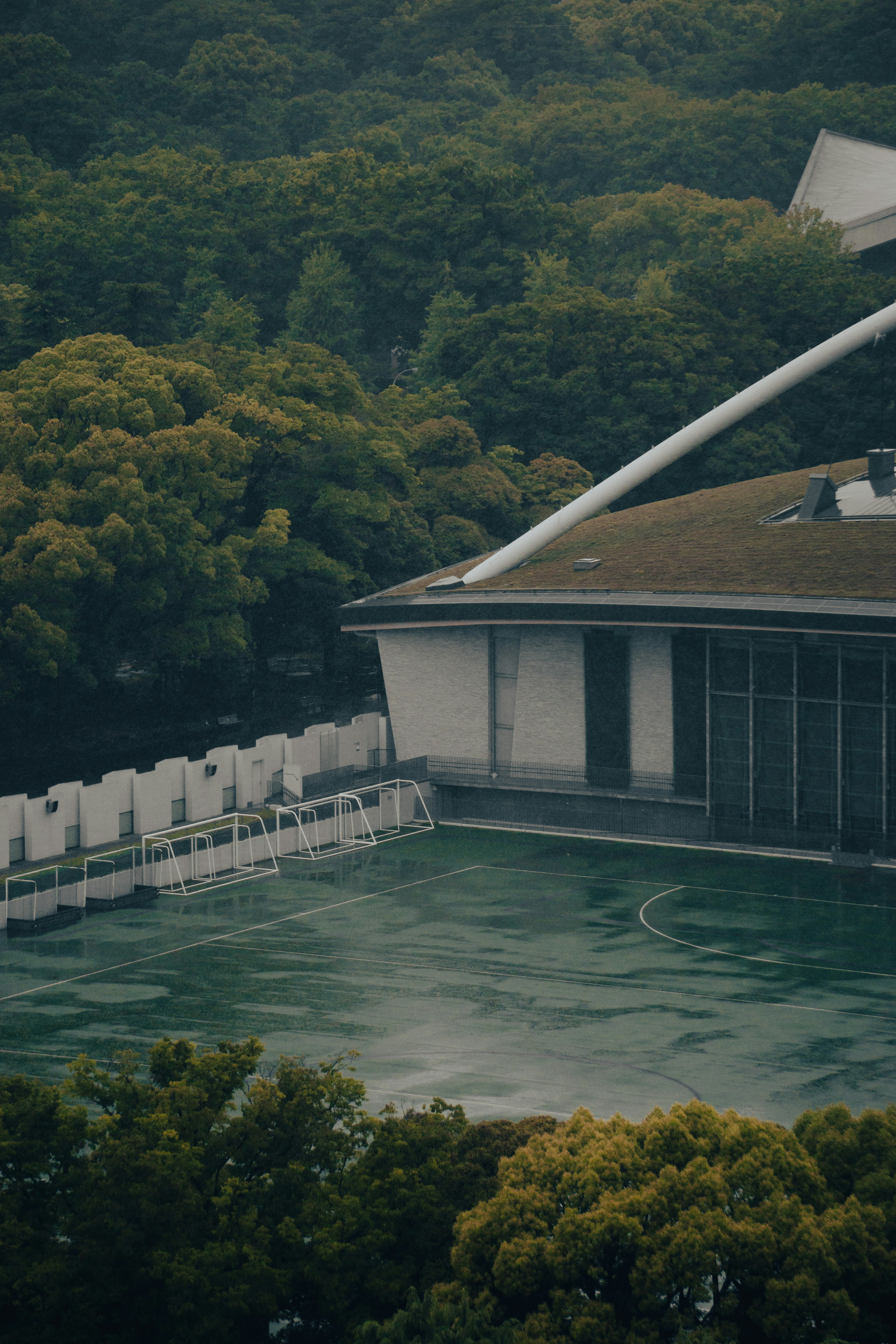 Rooftop Court Beneath a Slanted Swoop: Quiet Athletics Amid Dense Foliage