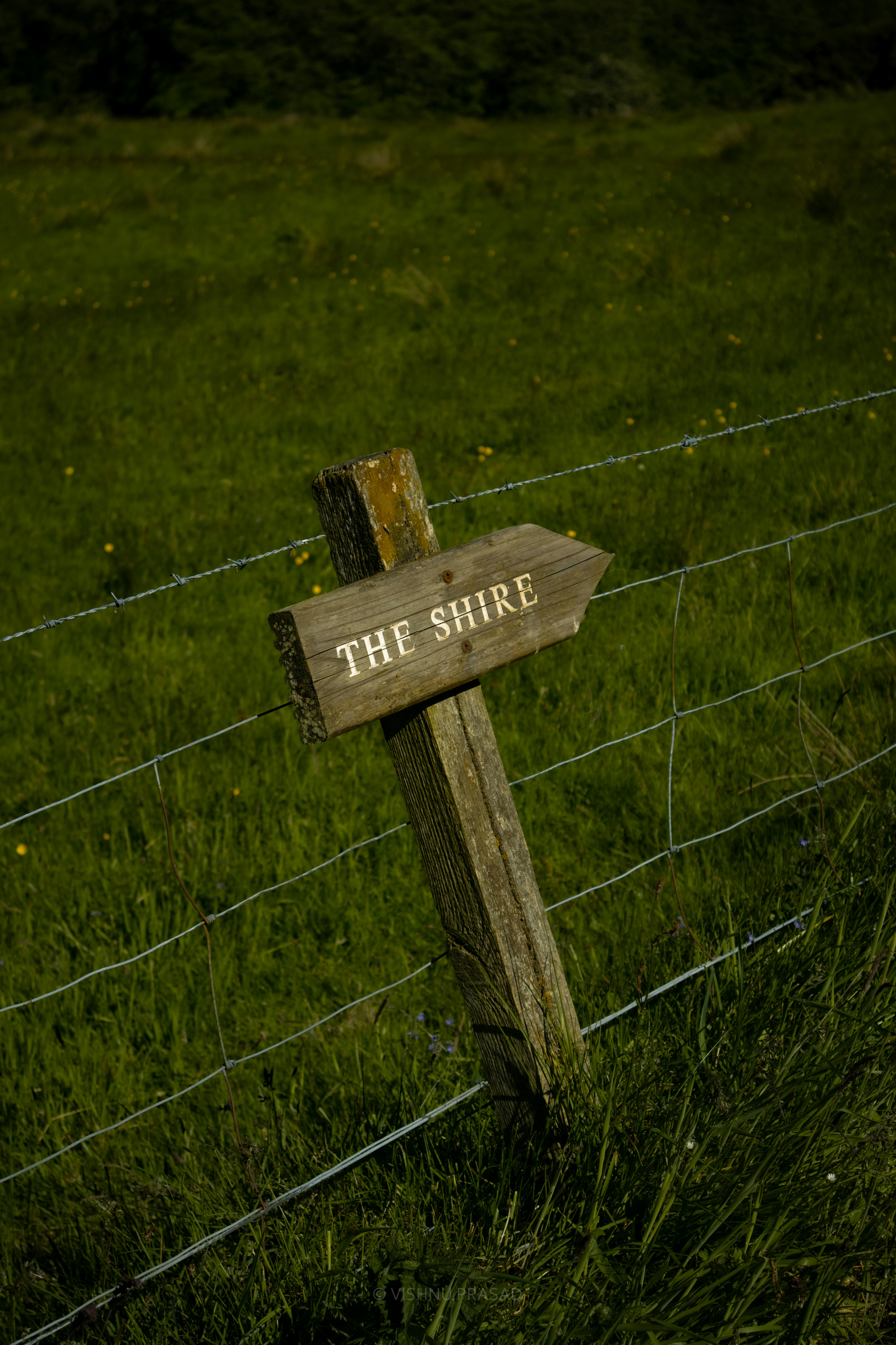 Looking out for Bilbo Baggins and his cosy little hobbit-hole. A wooden signpost en route the West Highland Way - Scotland's most popular Great Trail. | a wooden sign sitting on top of a lush green field