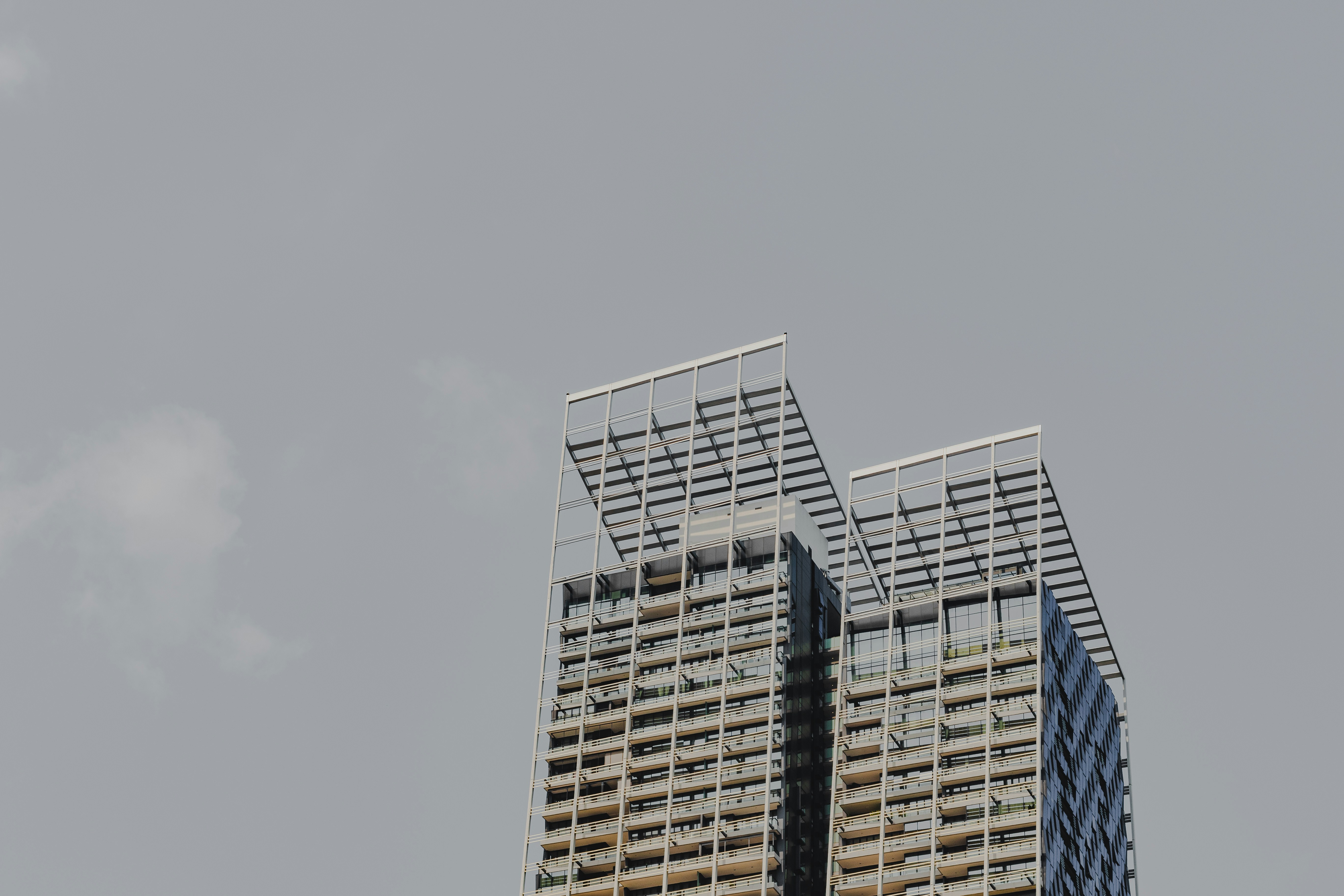 Twin-Chrome Towers: Precise Geometry Against a Pale Sky