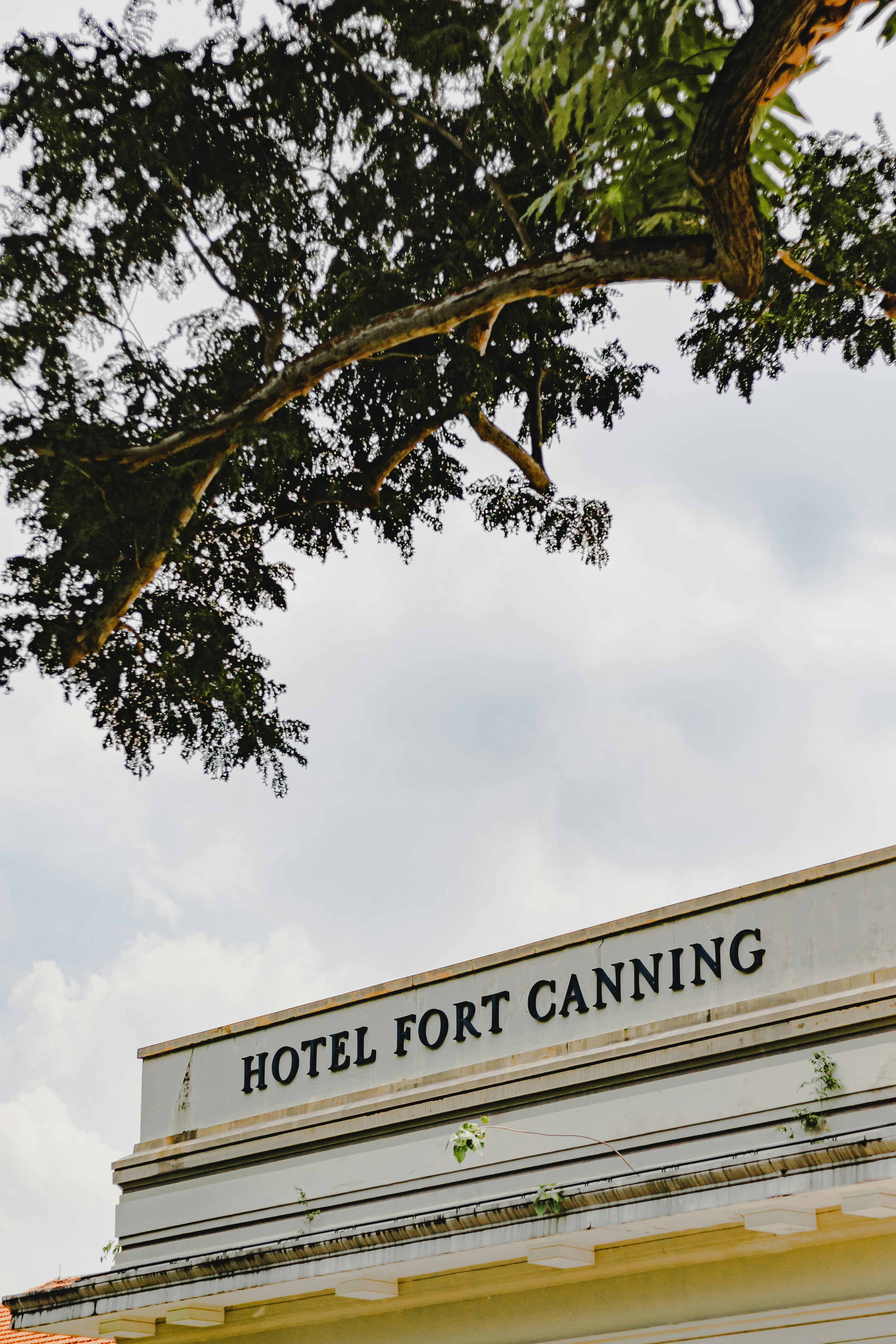 Historic building facade of Hotel Fort Canning with lush greenery overhead. The architectural details reflect a blend of heritage and modernity.