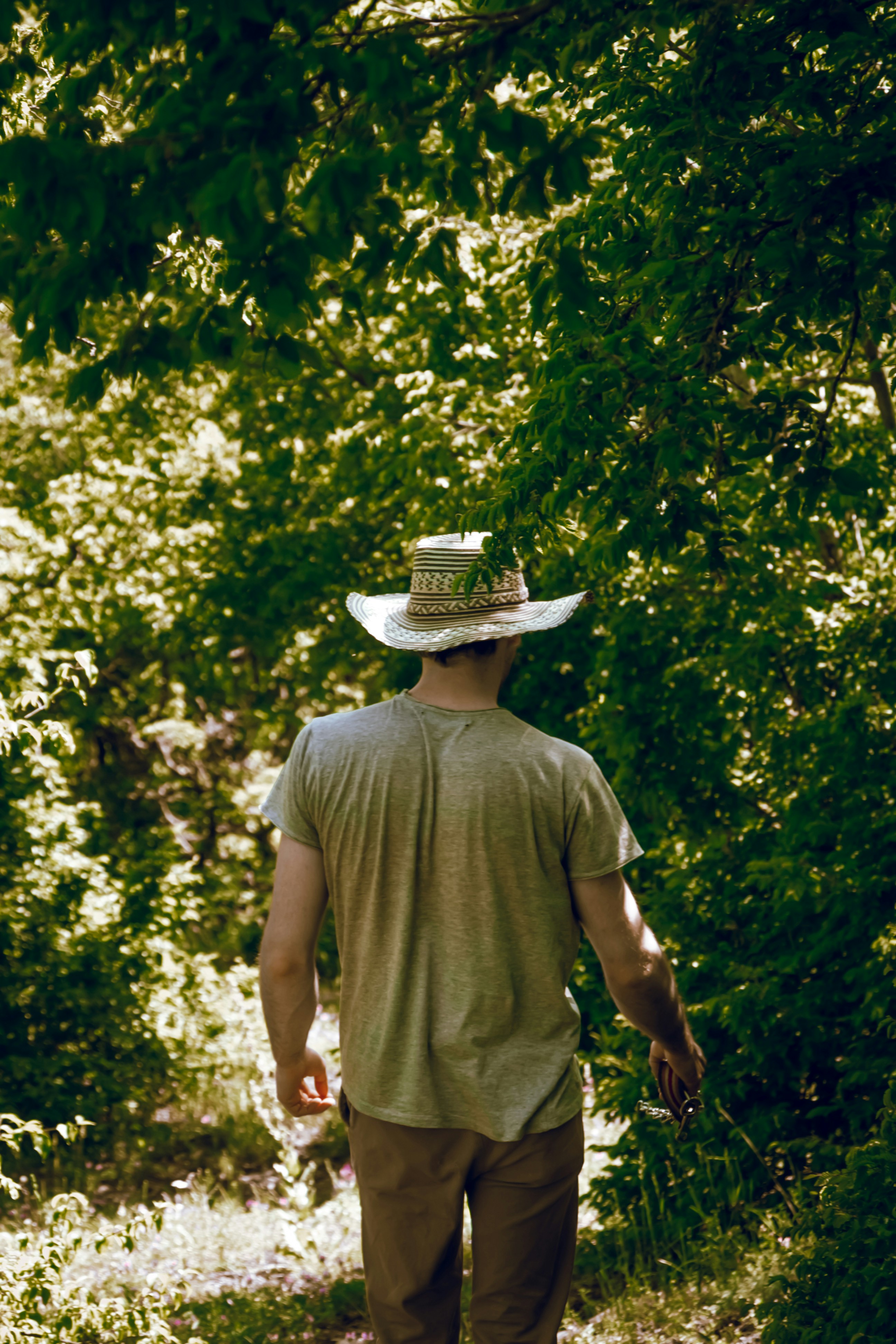 Straw Hat Wanderer in a Sunlit Green Corridor