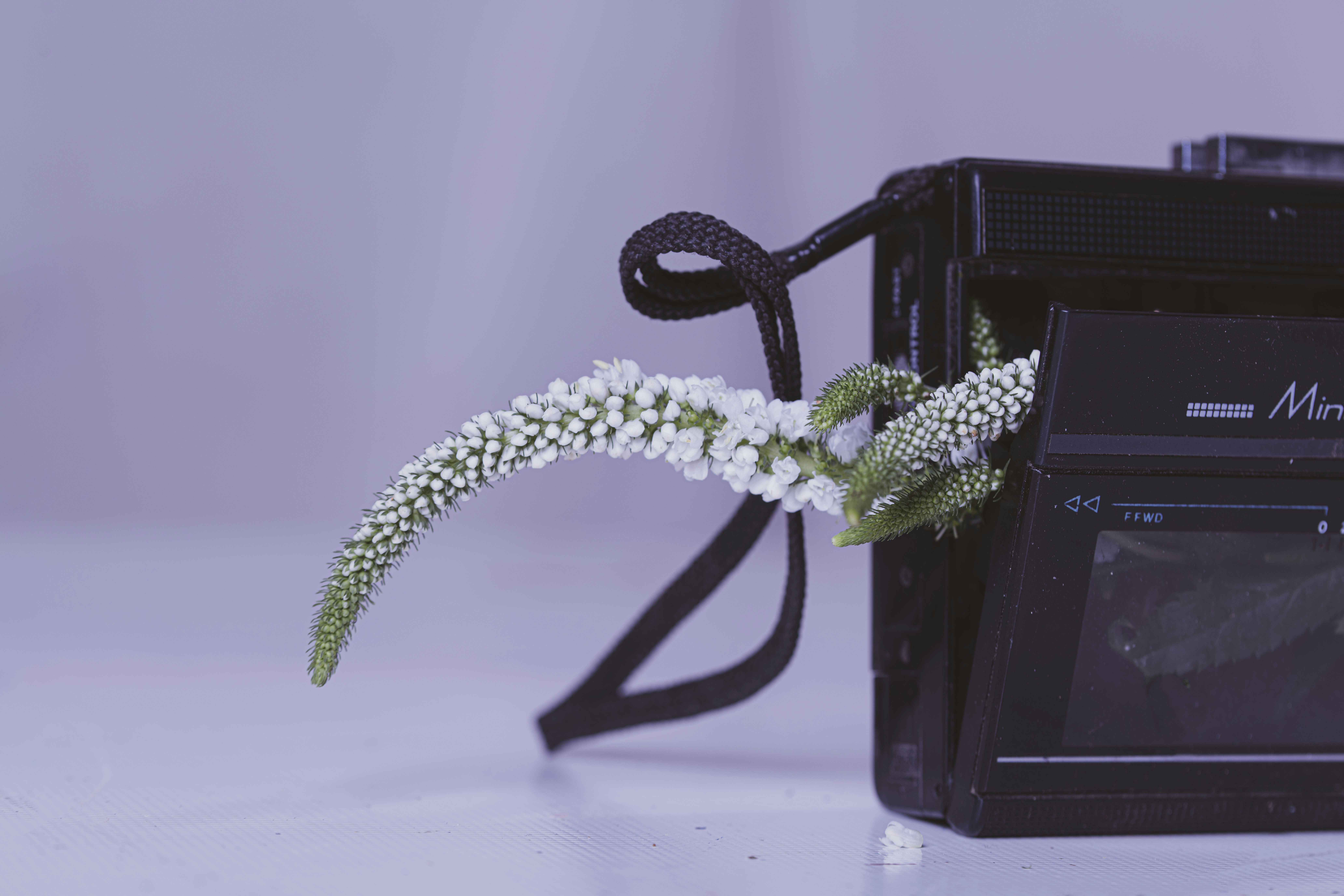 Petals on the Side: A Vintage Camera with a Floral Accent