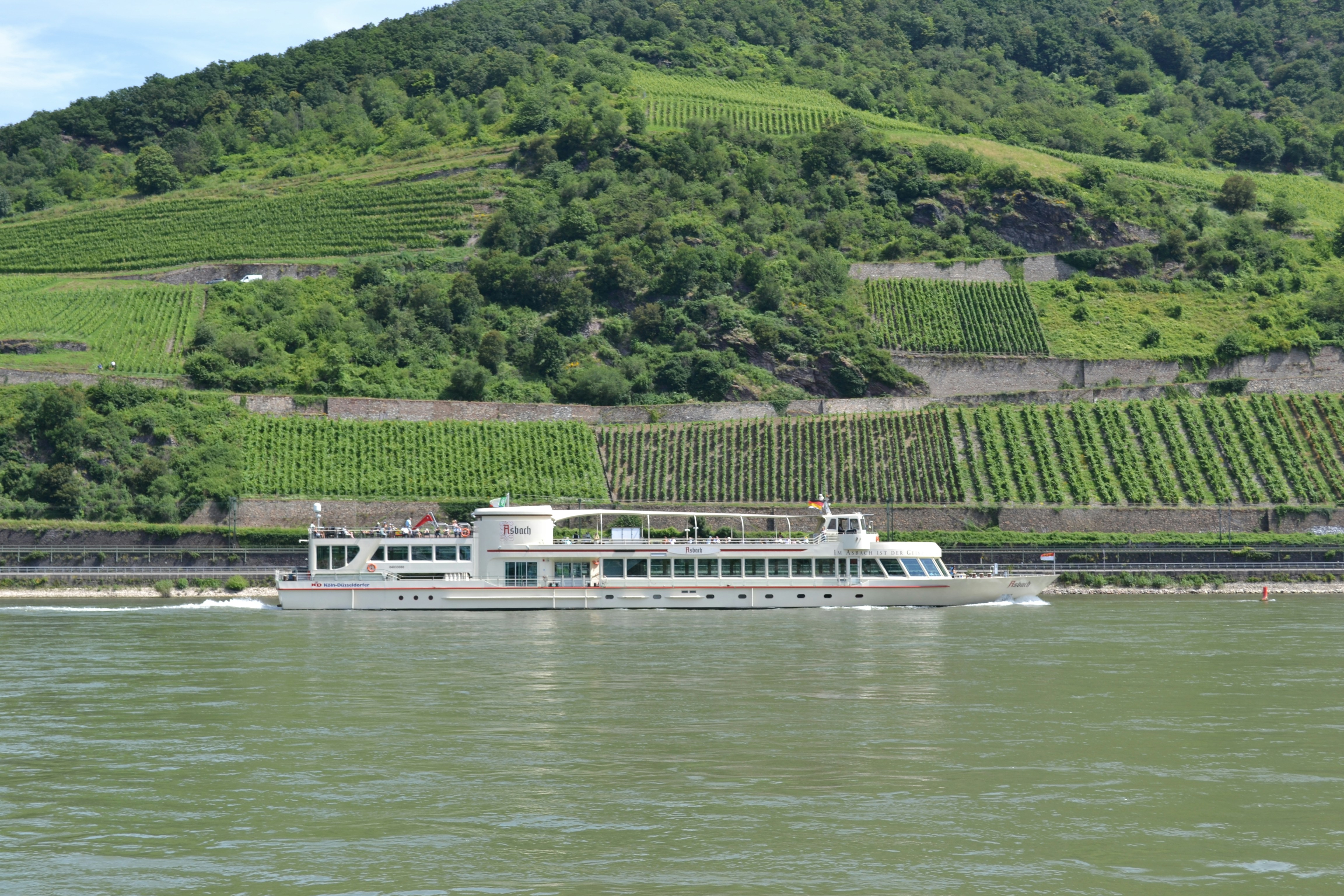 White passenger boat gliding along a sunlit river past terraced vineyards
