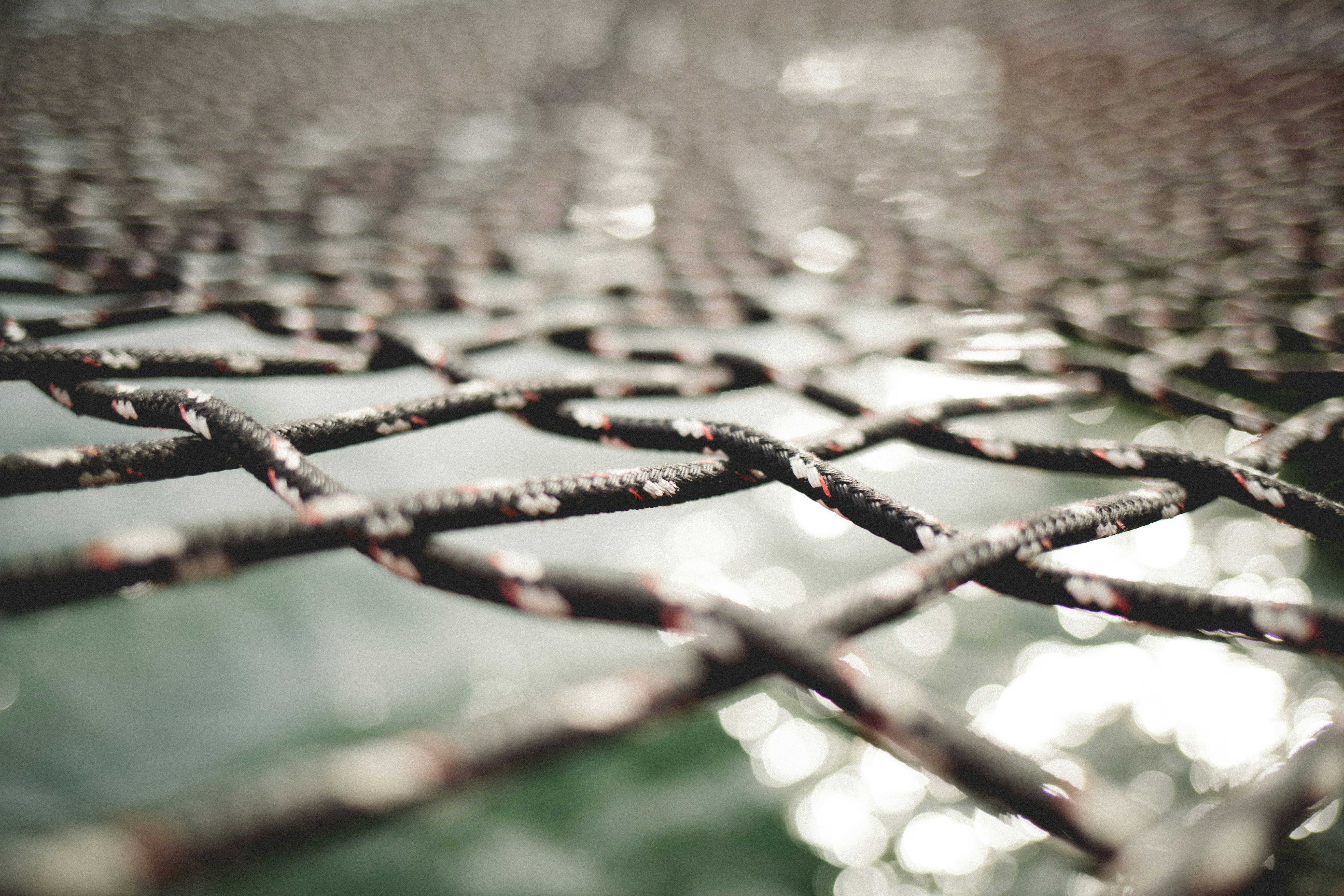 A close up of a chain link fence photo – Free Martha's vineyard Image ...