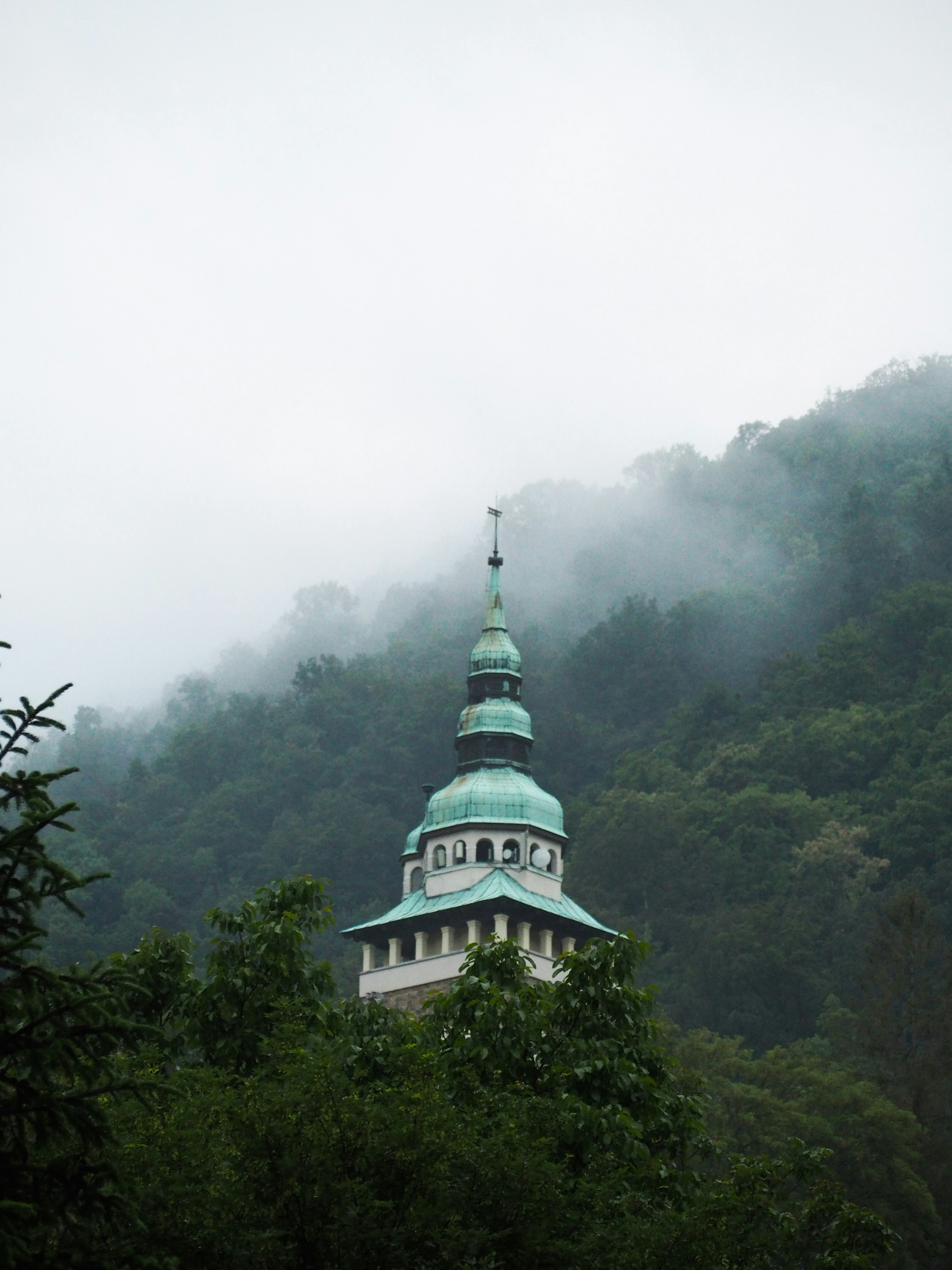 Bükk, after summer rain 