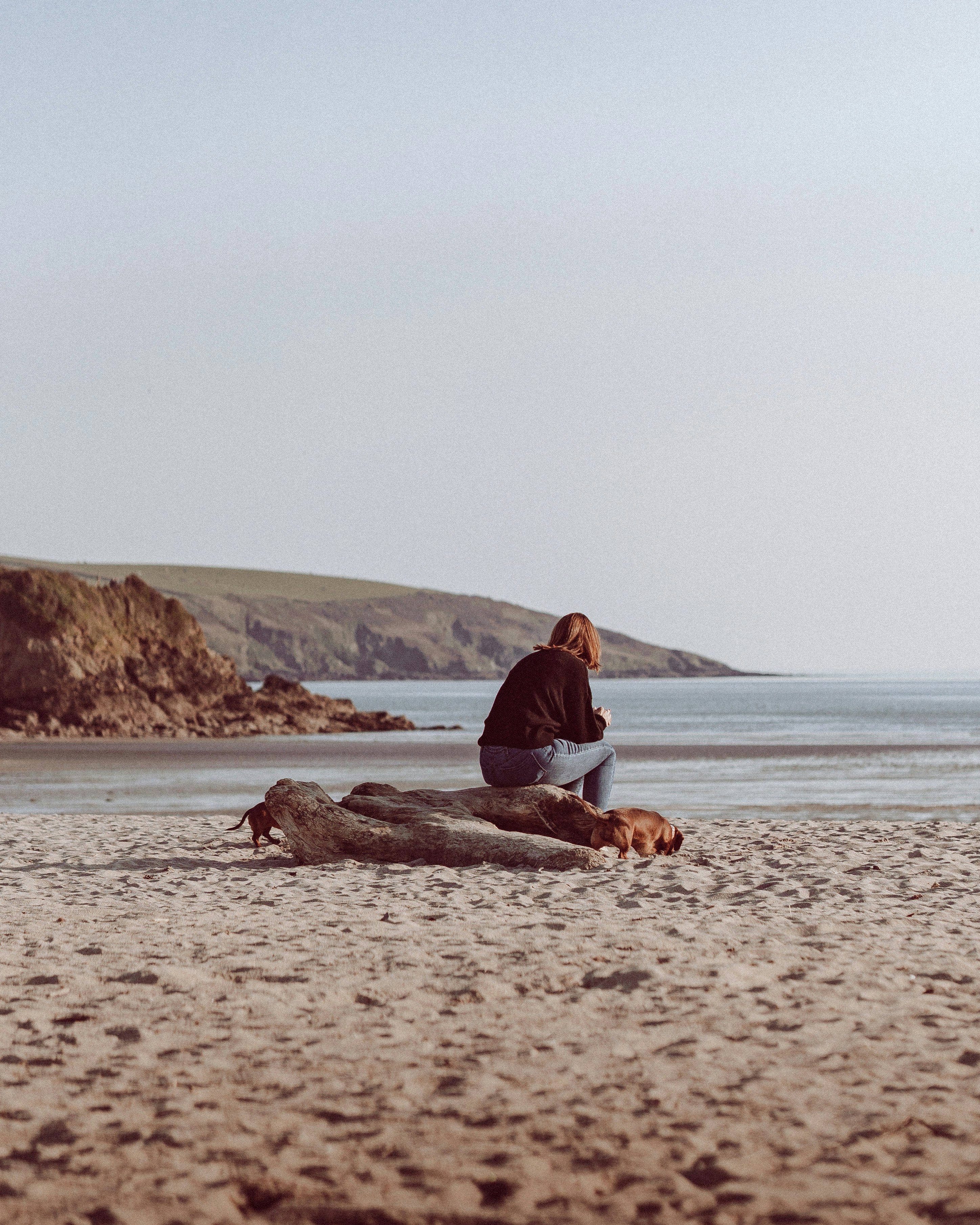 Una persona sentada en un tronco en una playa foto – Imagen de Gris ...