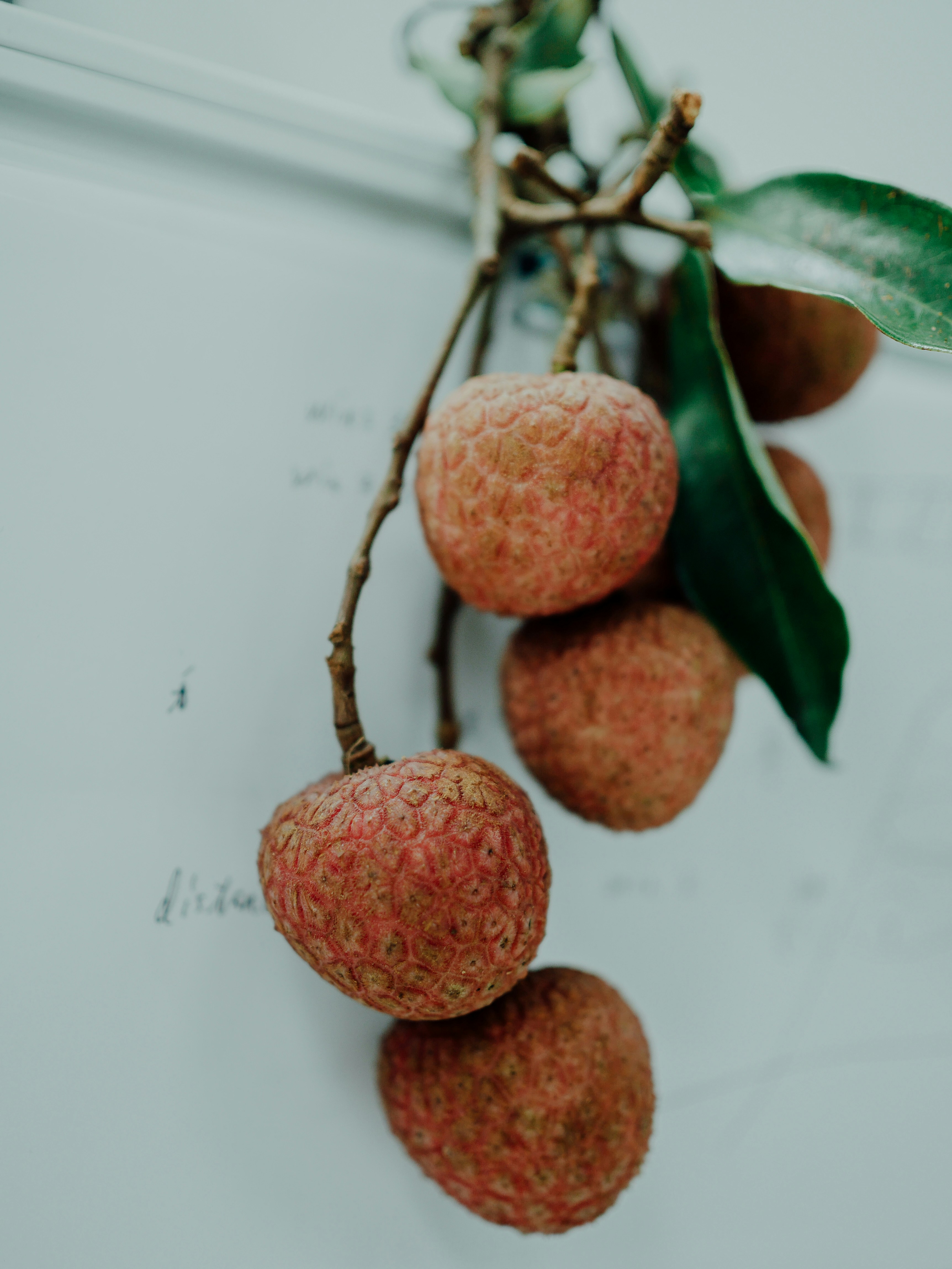 Lychee Cluster in Soft Backlight: A Close-Up Portrait of Textured Red Fruits