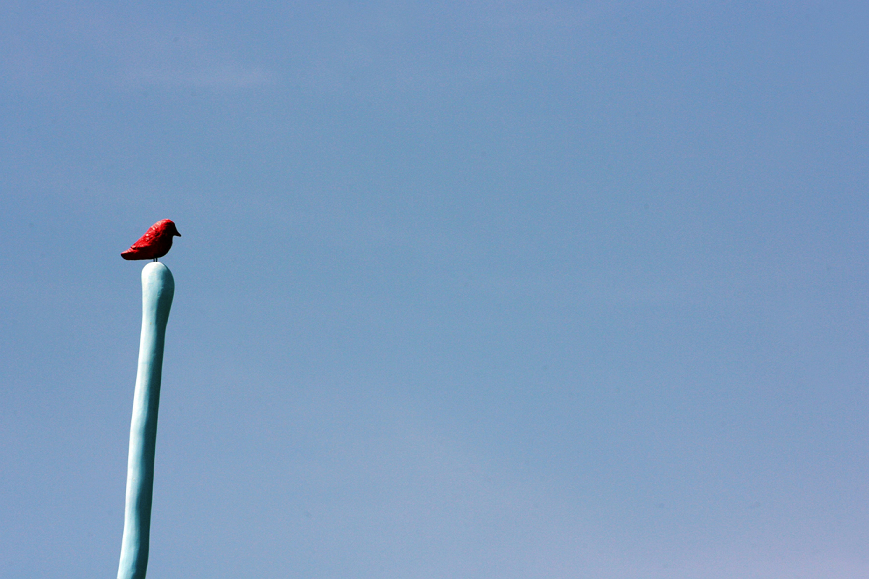 Scarlet Sentinel on a Turquoise Post Under an Open Sky