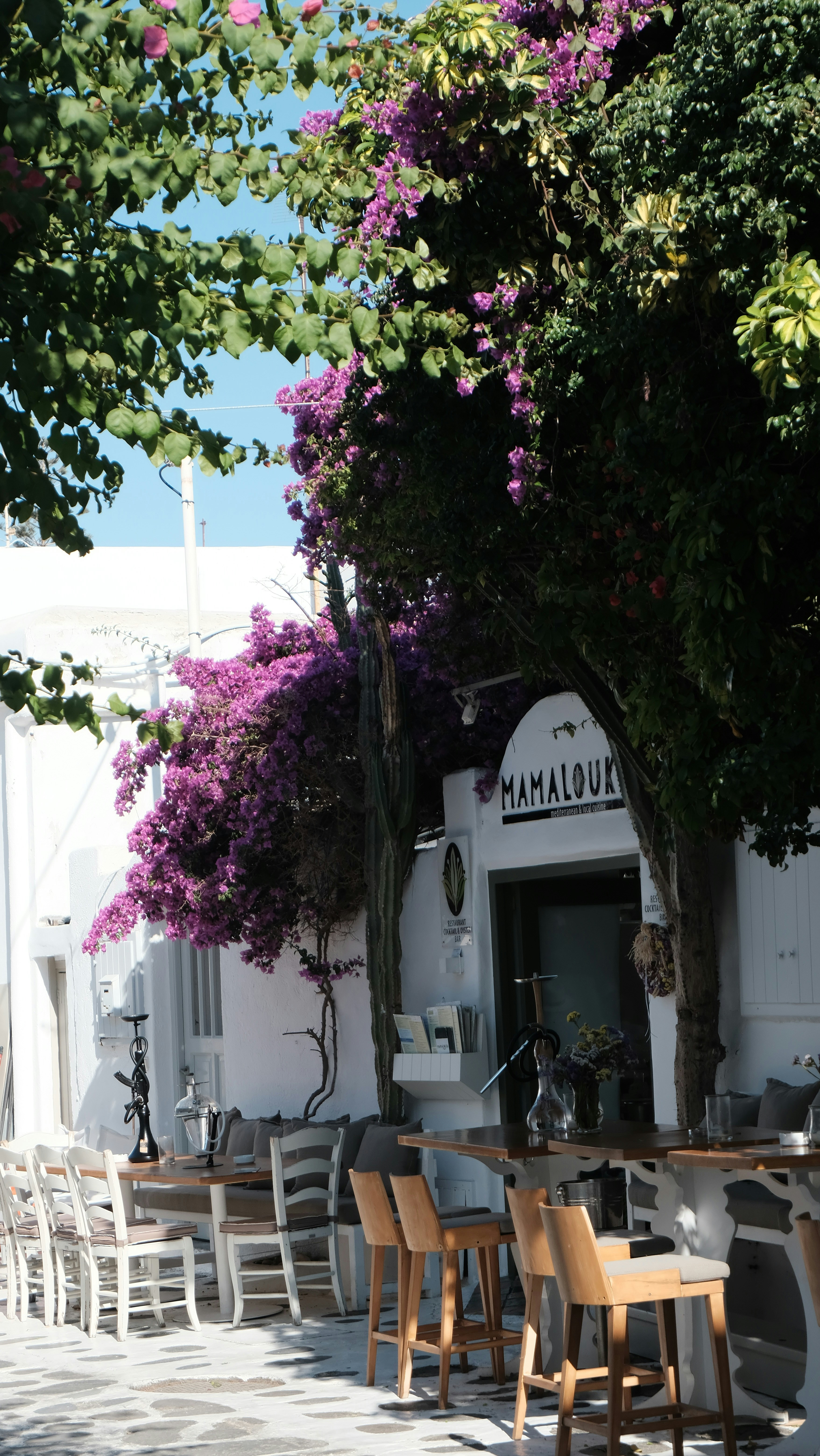 Bougainvillea Canopy Over a Quiet White-Court Café