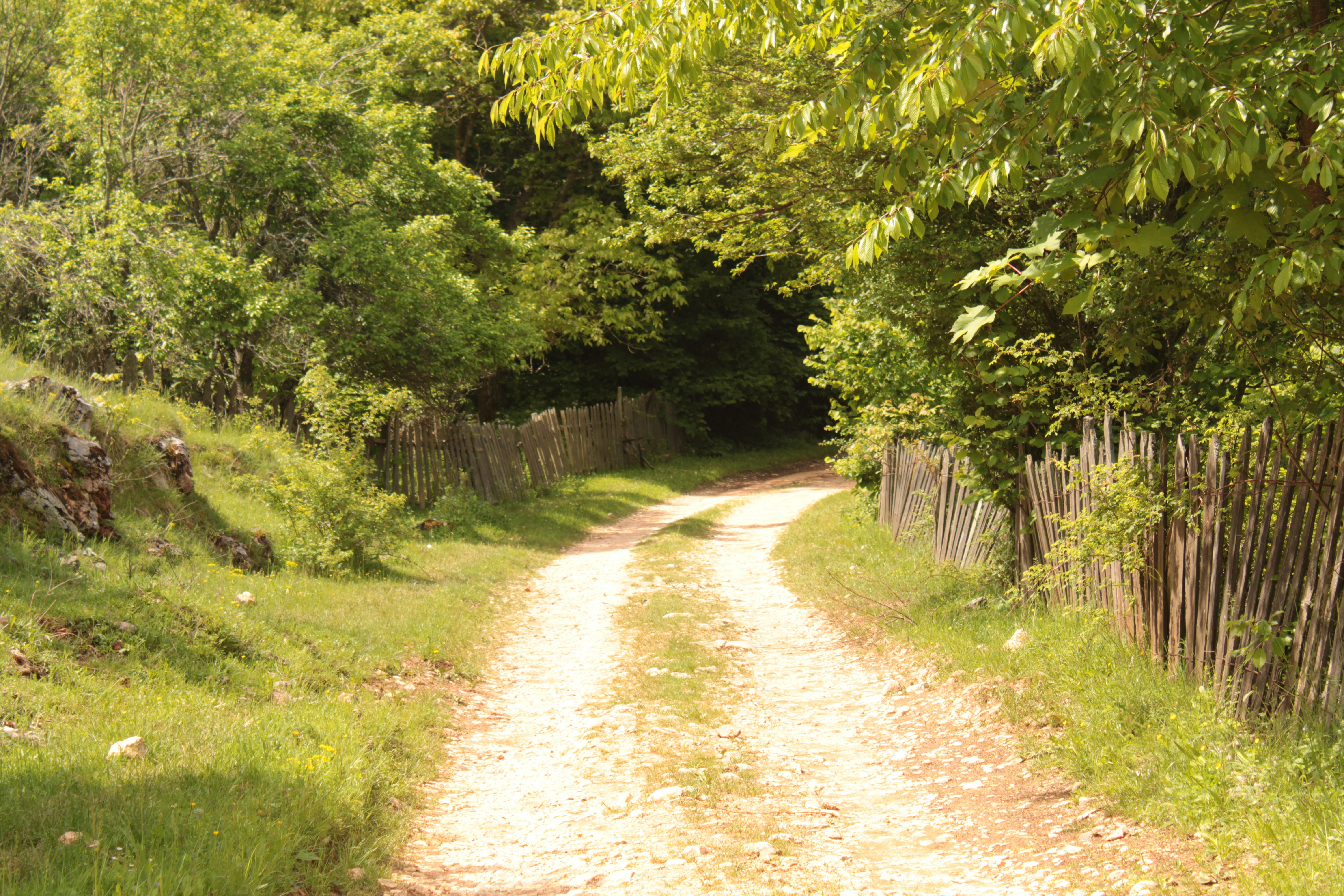 Village Road Pictures | Download Free Images on Unsplash