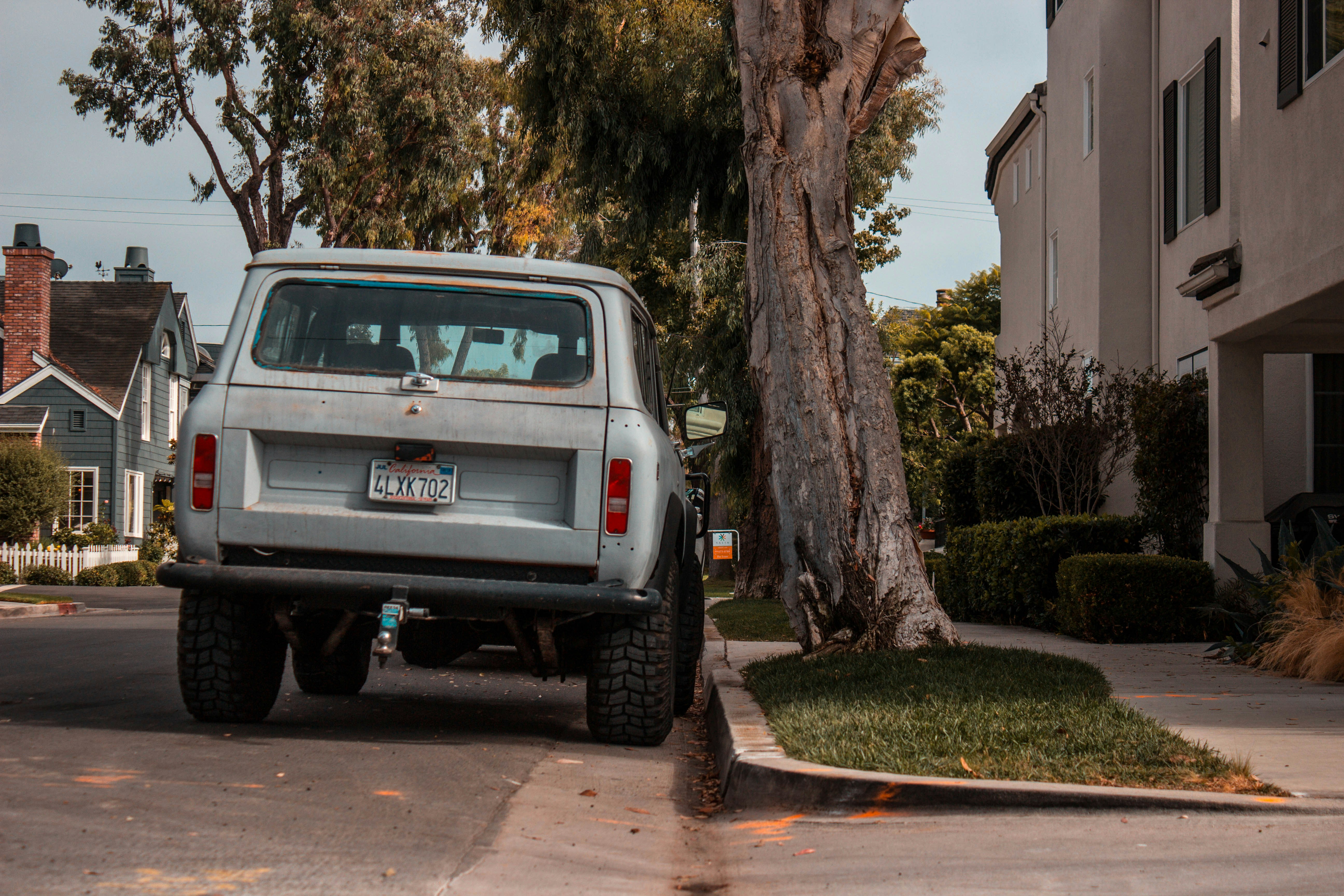 Curbside Retro: A Vintage Van Anchored by a Tree-Lined Street