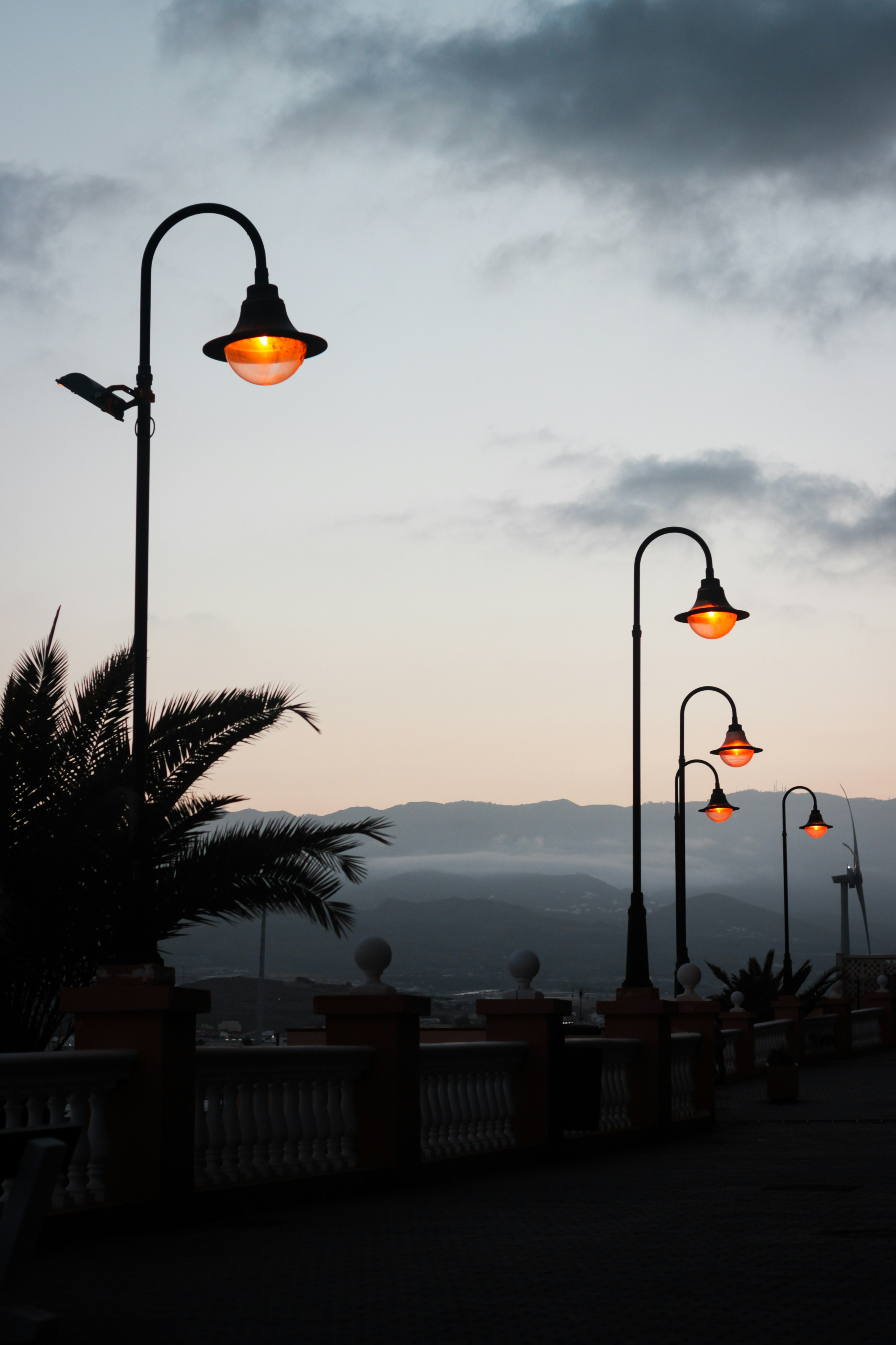 Twilight Lantern Row: Palm-Fringed Promenade at Dusk