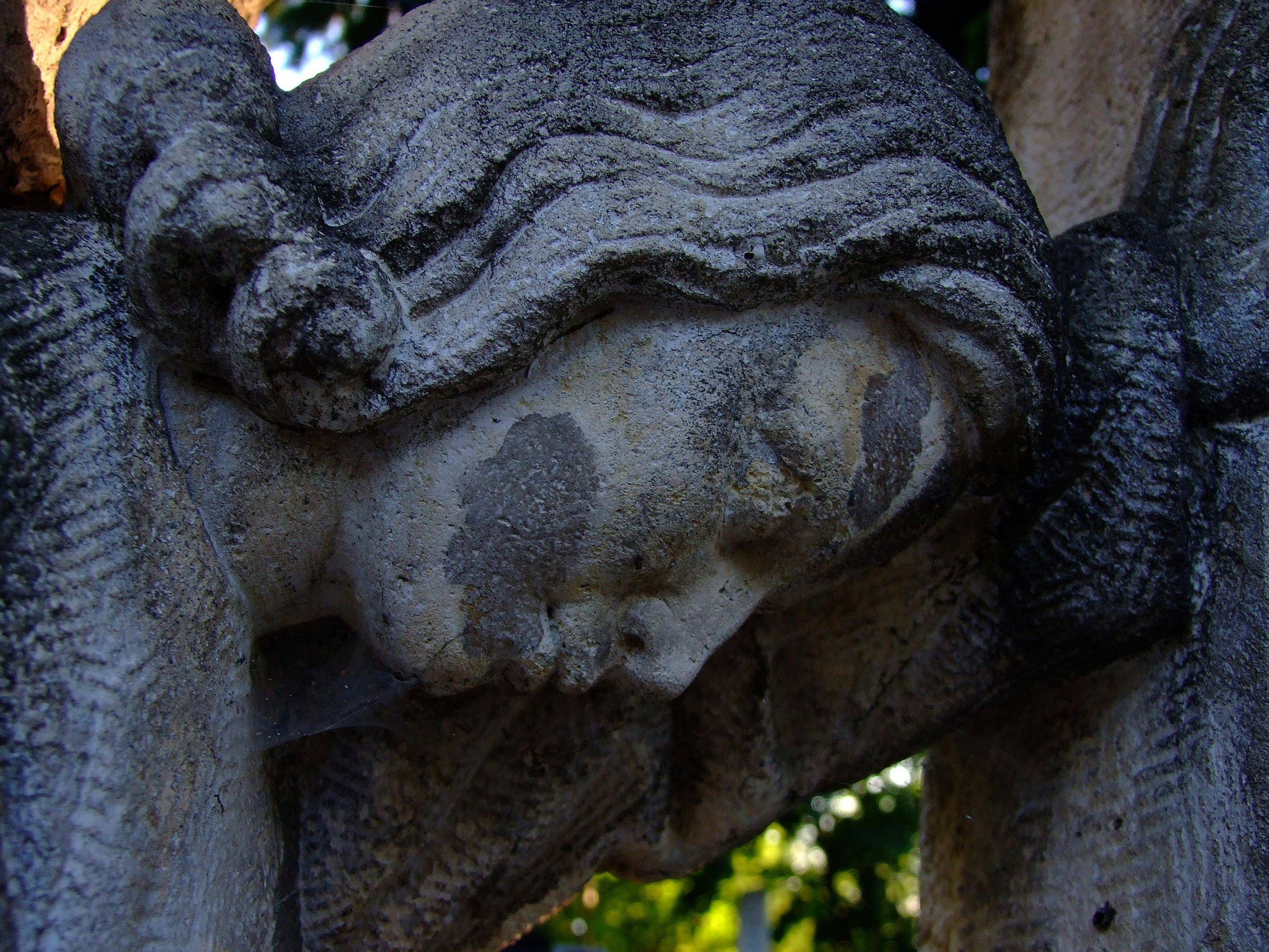 Close-up of a weathered stone angel sculpture, capturing intricate details of the hair and facial features. The soft light accentuates the textures and shadows.