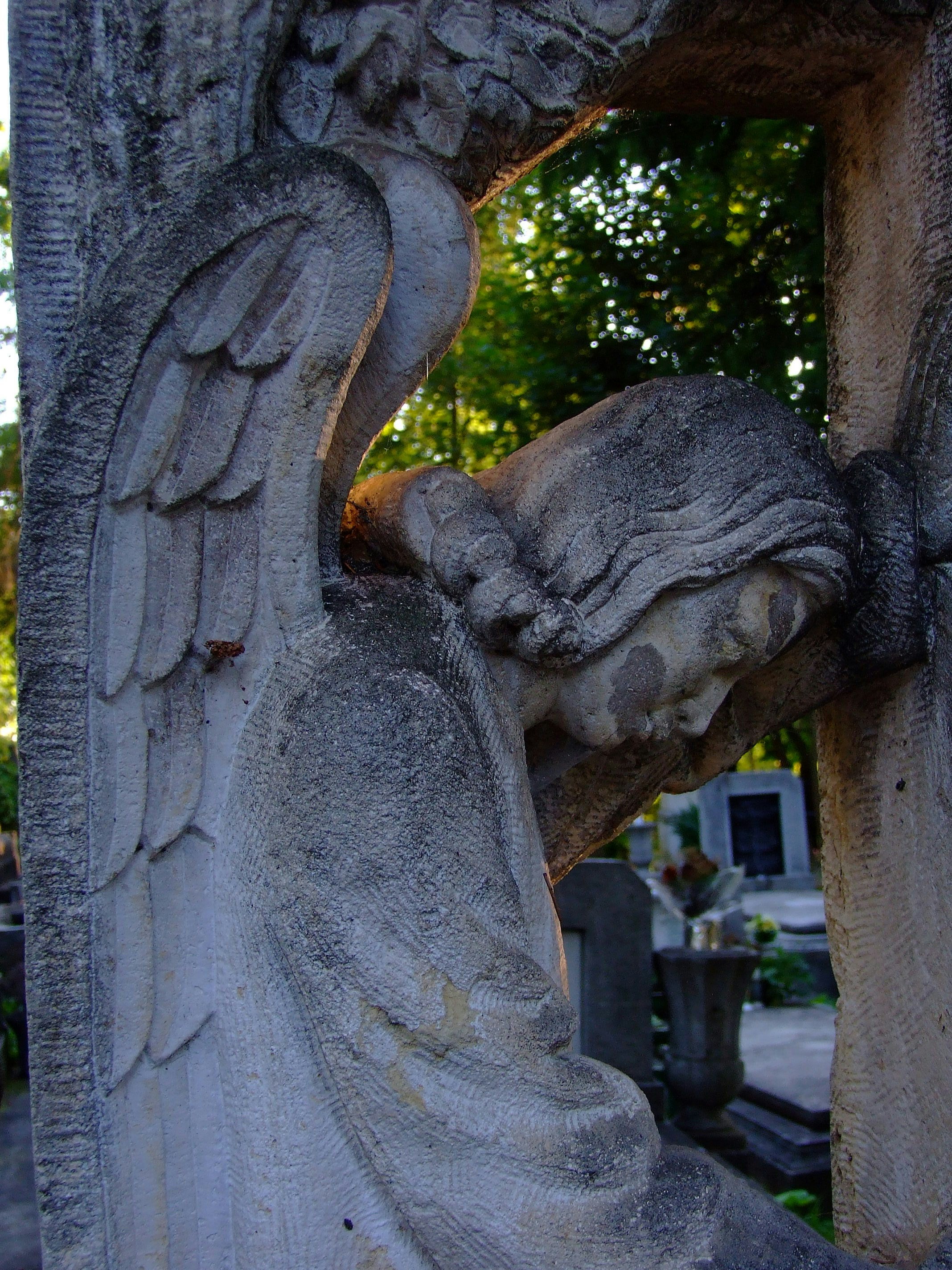 Weathered angel statue with detailed wings and a somber expression, framed by a stone arch in a tranquil cemetery. Sunlight filters through the trees, enhancing the serene atmosphere.