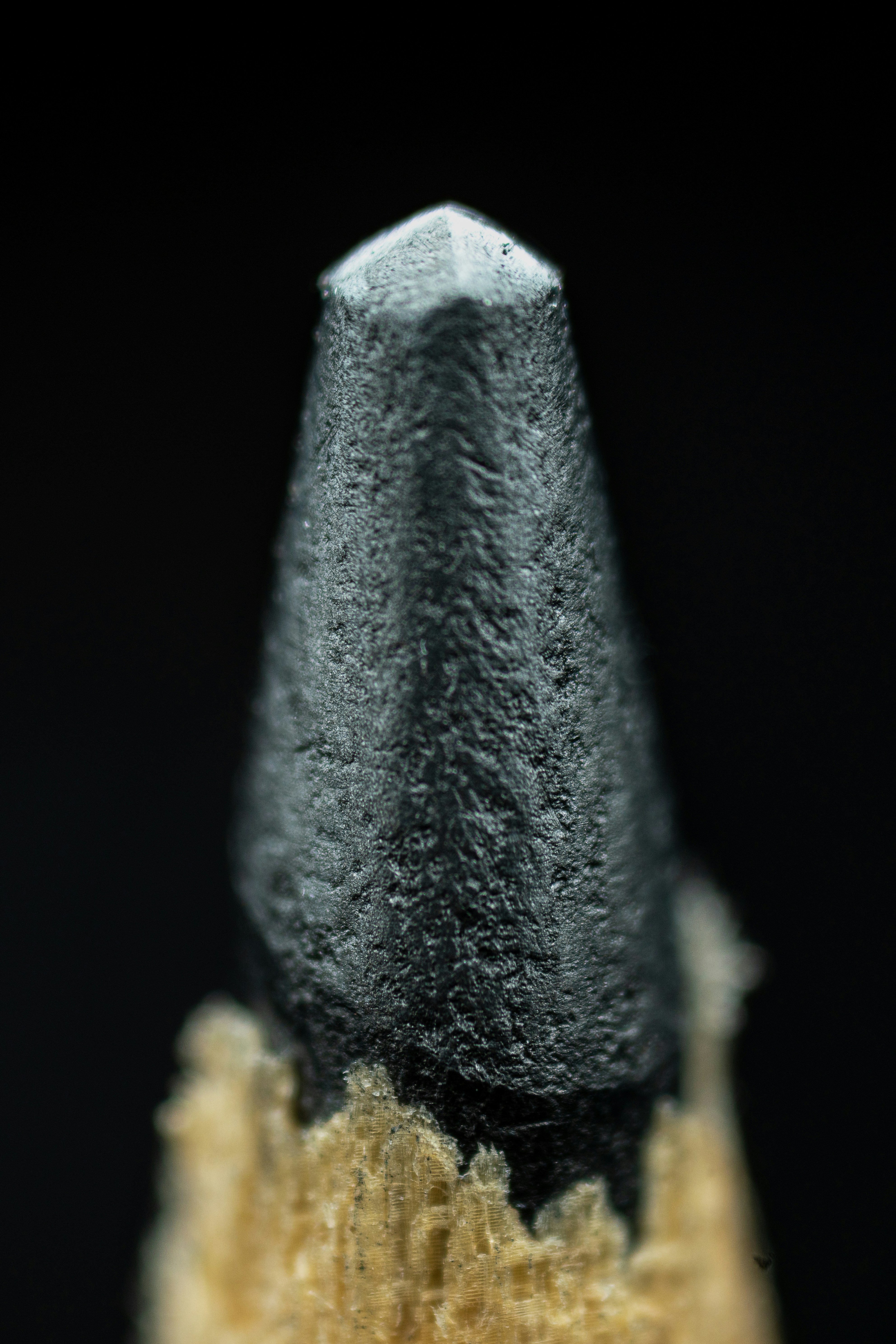 Photo by Skyler Ewing with Sony Alpha 7R IV