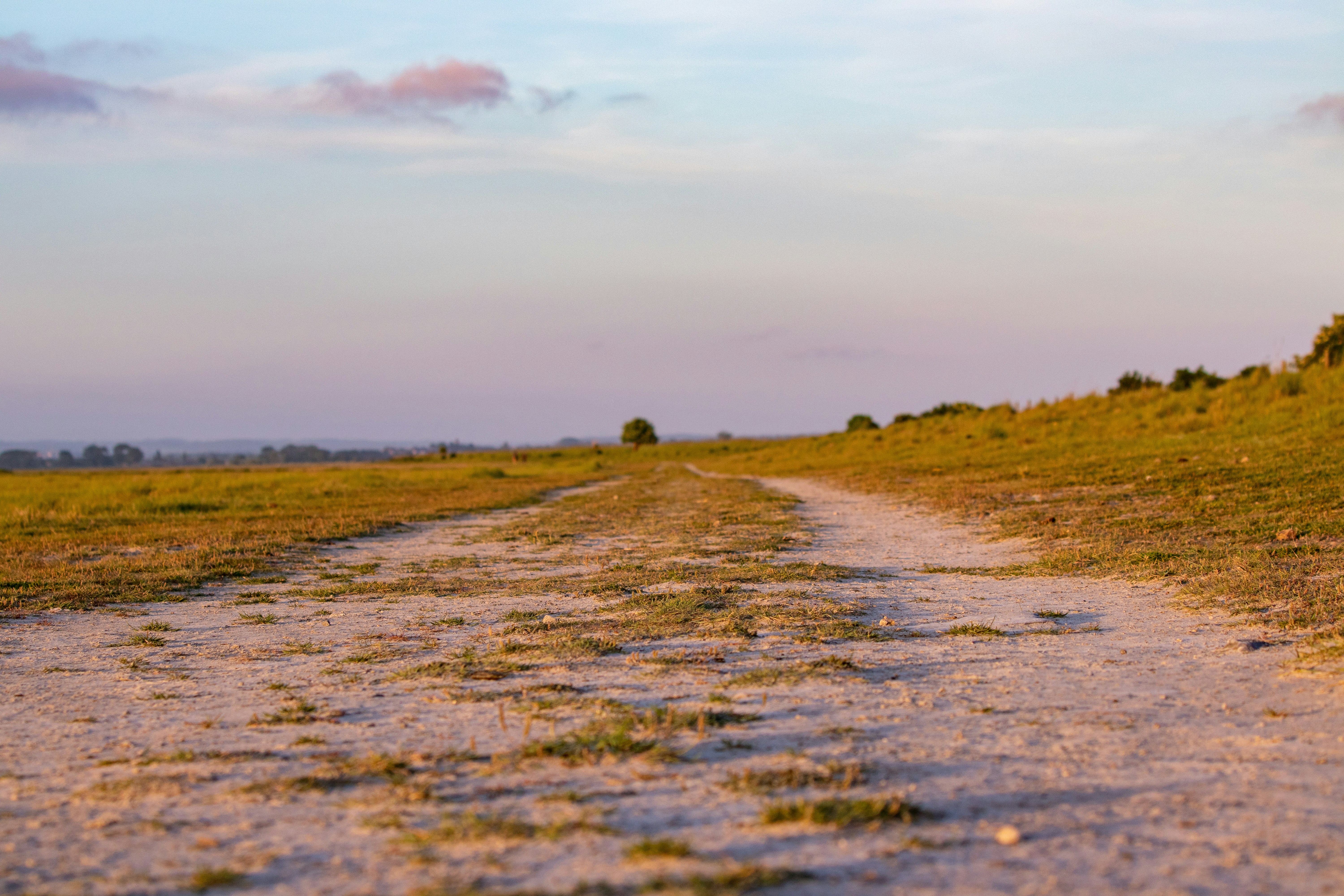 Dirt path winding through grassy field under a pastel sky at sunset.