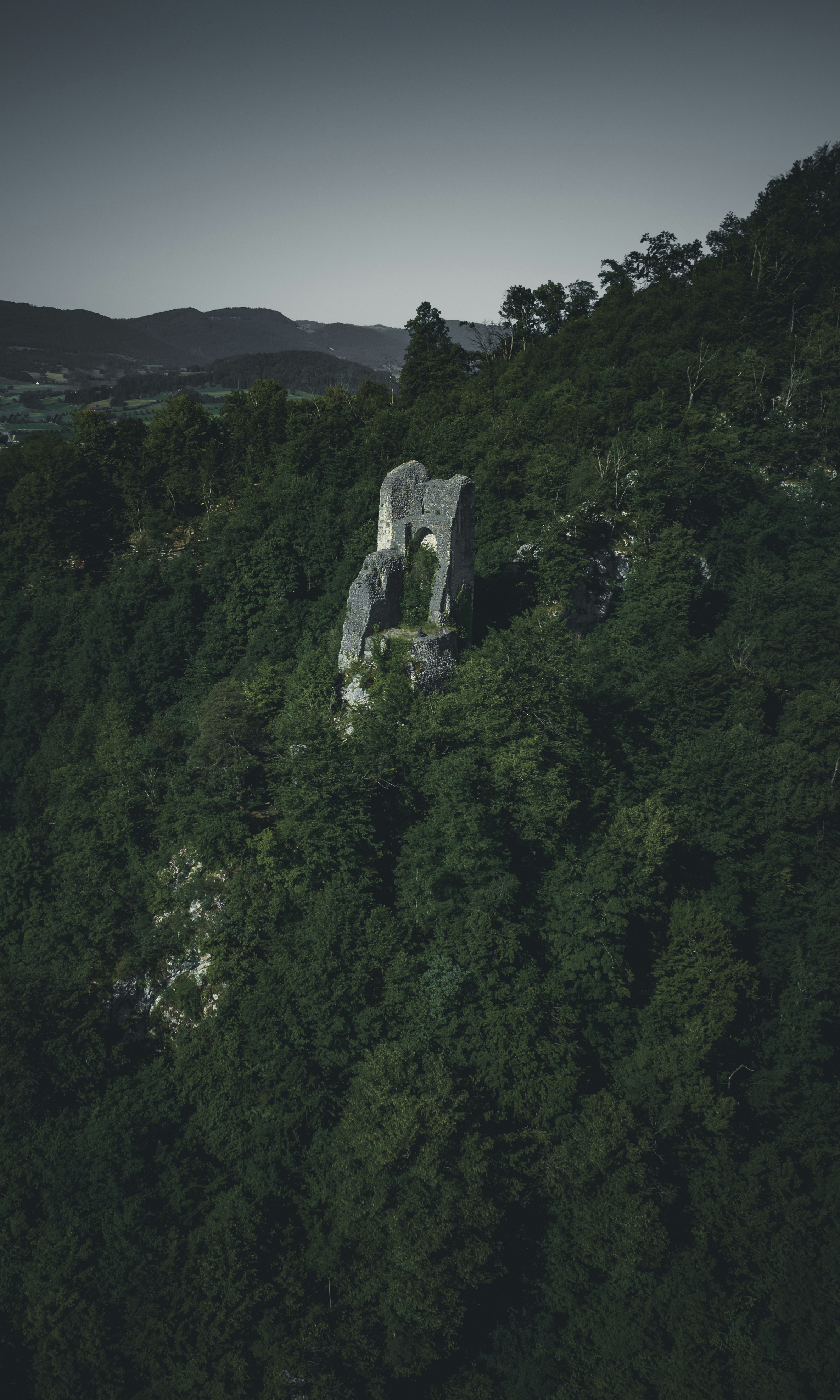 Weathered Stone Arch Emerges From a Pine Cathedral
