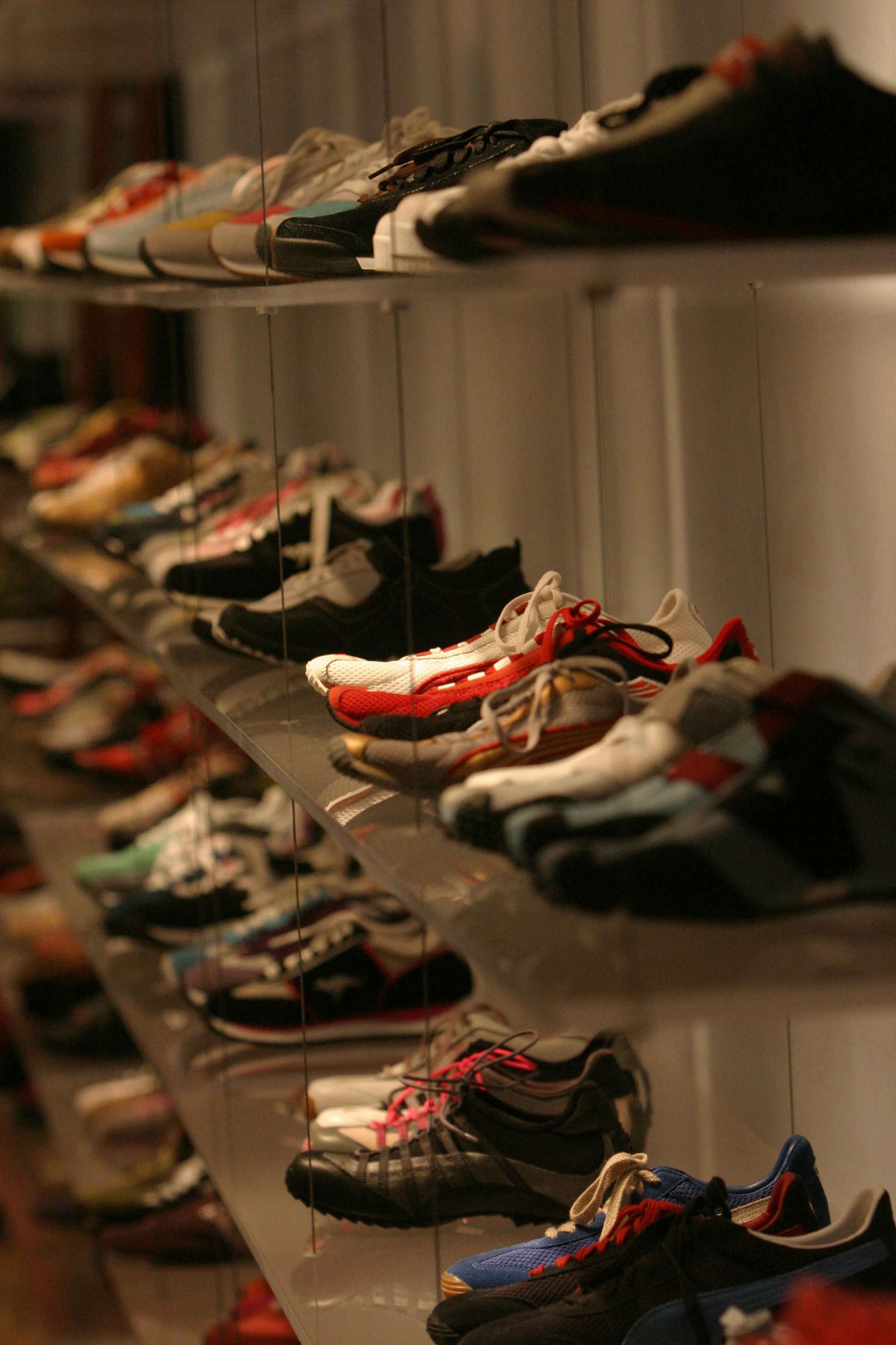 A display of various athletic shoes arranged on shelves, showcasing a blend of styles and colors. The image highlights the diversity in design and function of modern footwear.