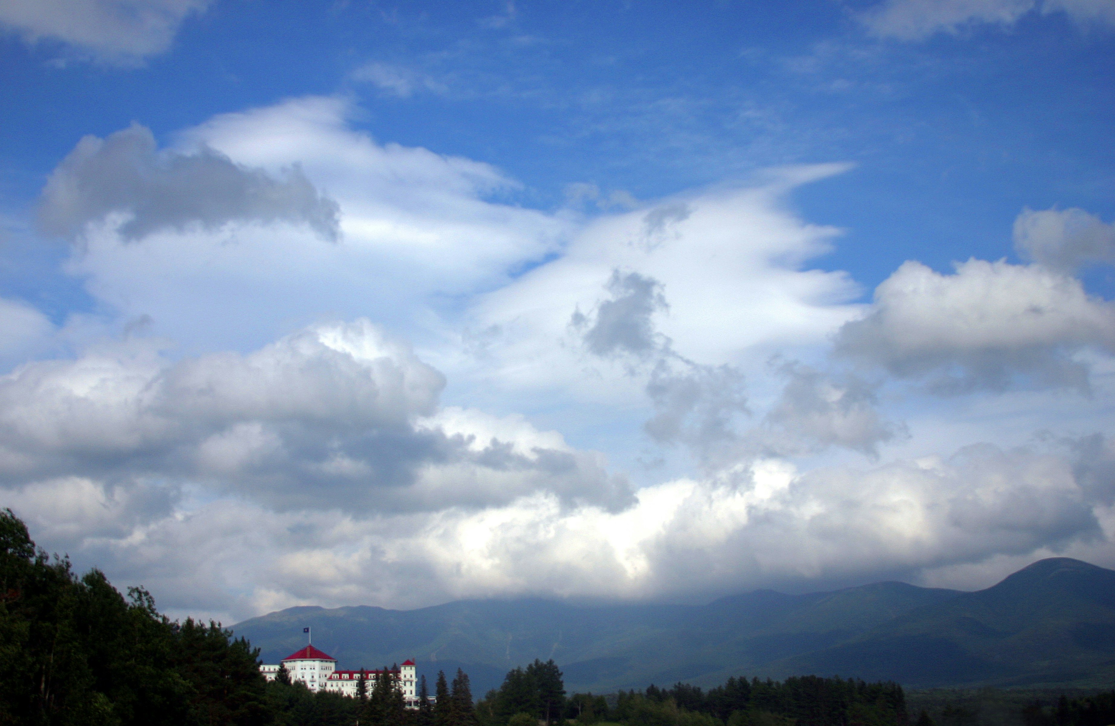 Multinational Corporations (MNCs): Definition, Types, and Environments