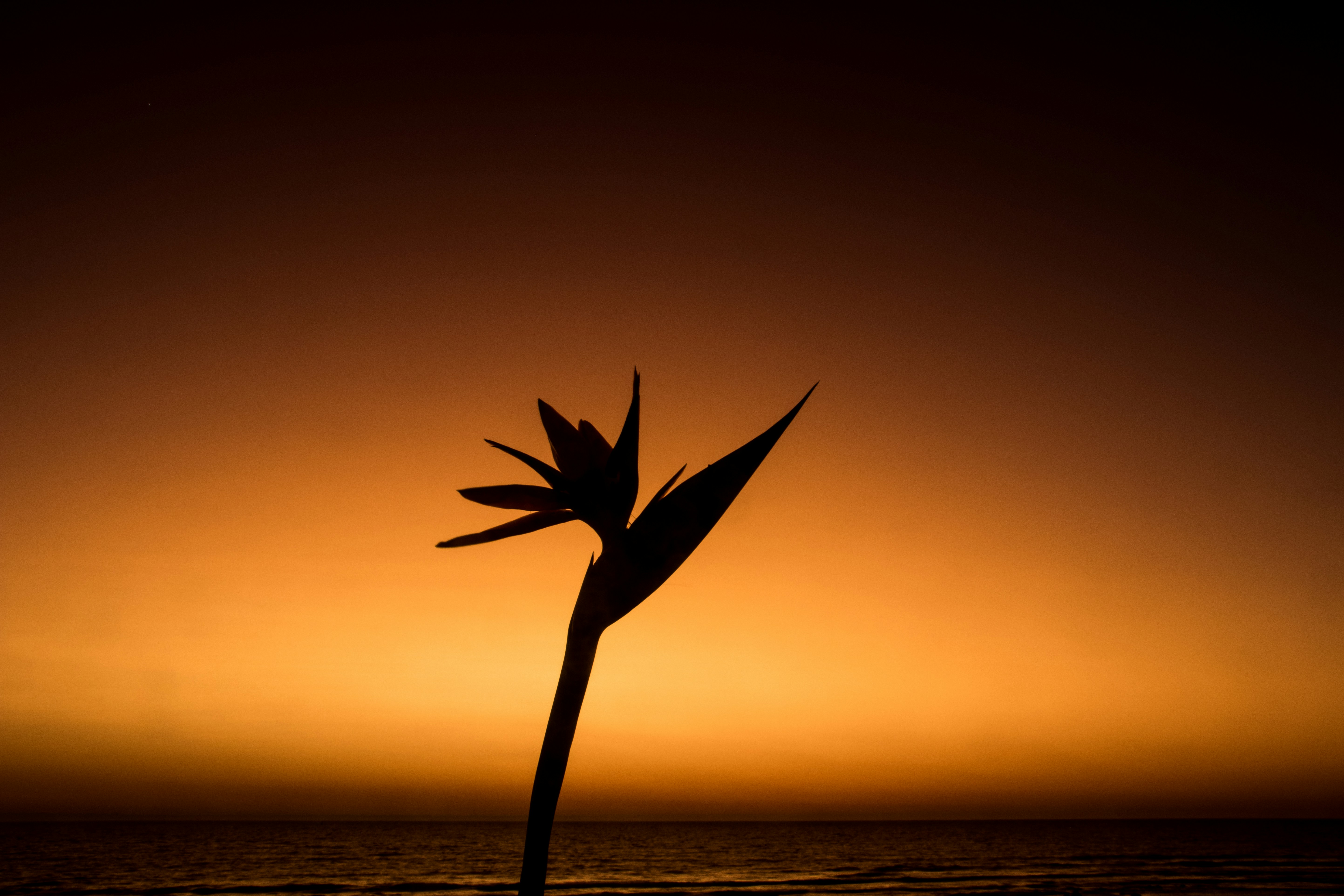 Gregory Fullard (@gregfullard) | Communauté photos Unsplash