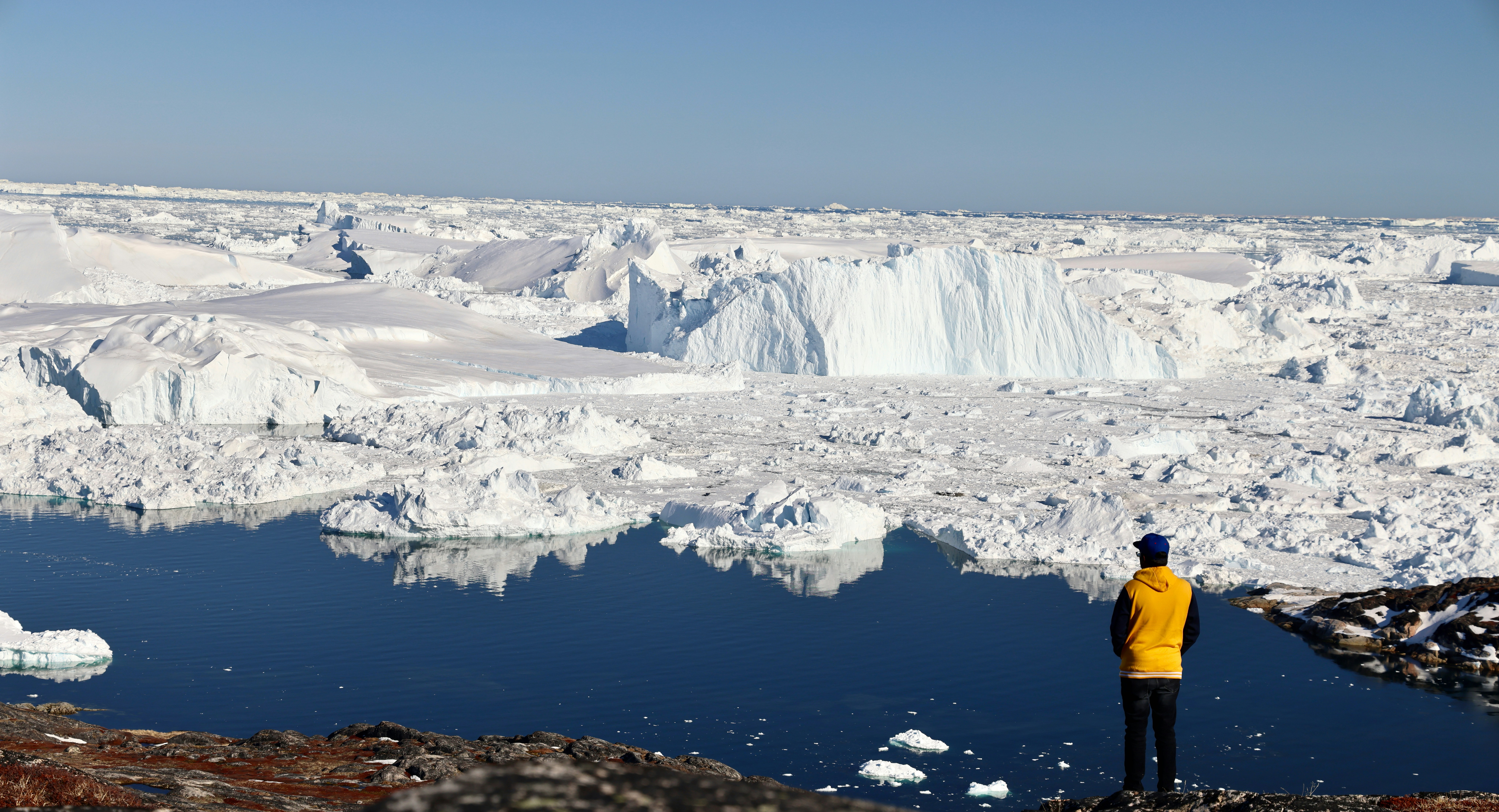 Yellow Jacket at the Icefjord: A Lone Observer Before a Frozen Ocean