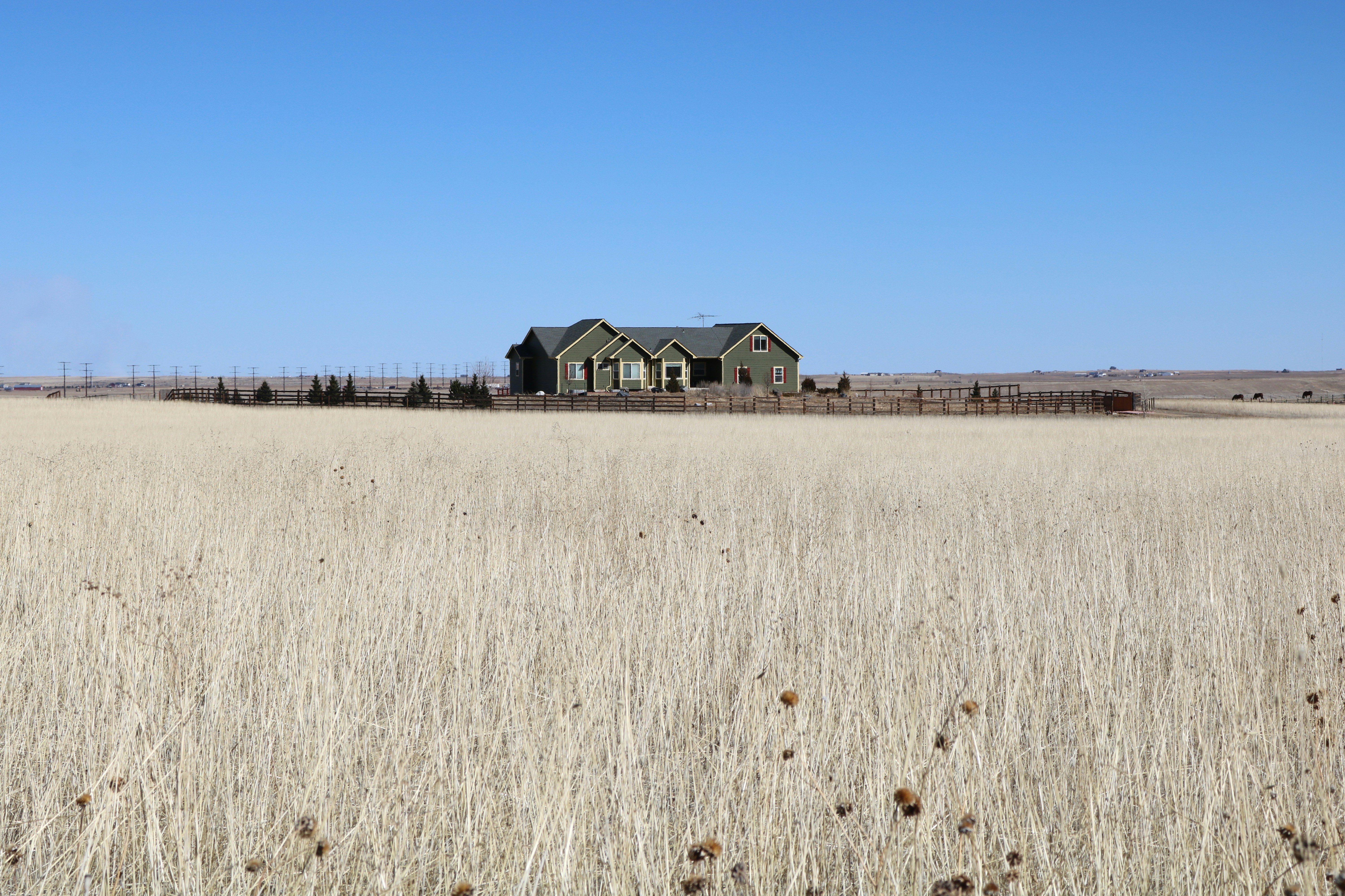 House nestled in a vast field of tall, dry grass under a clear blue sky.