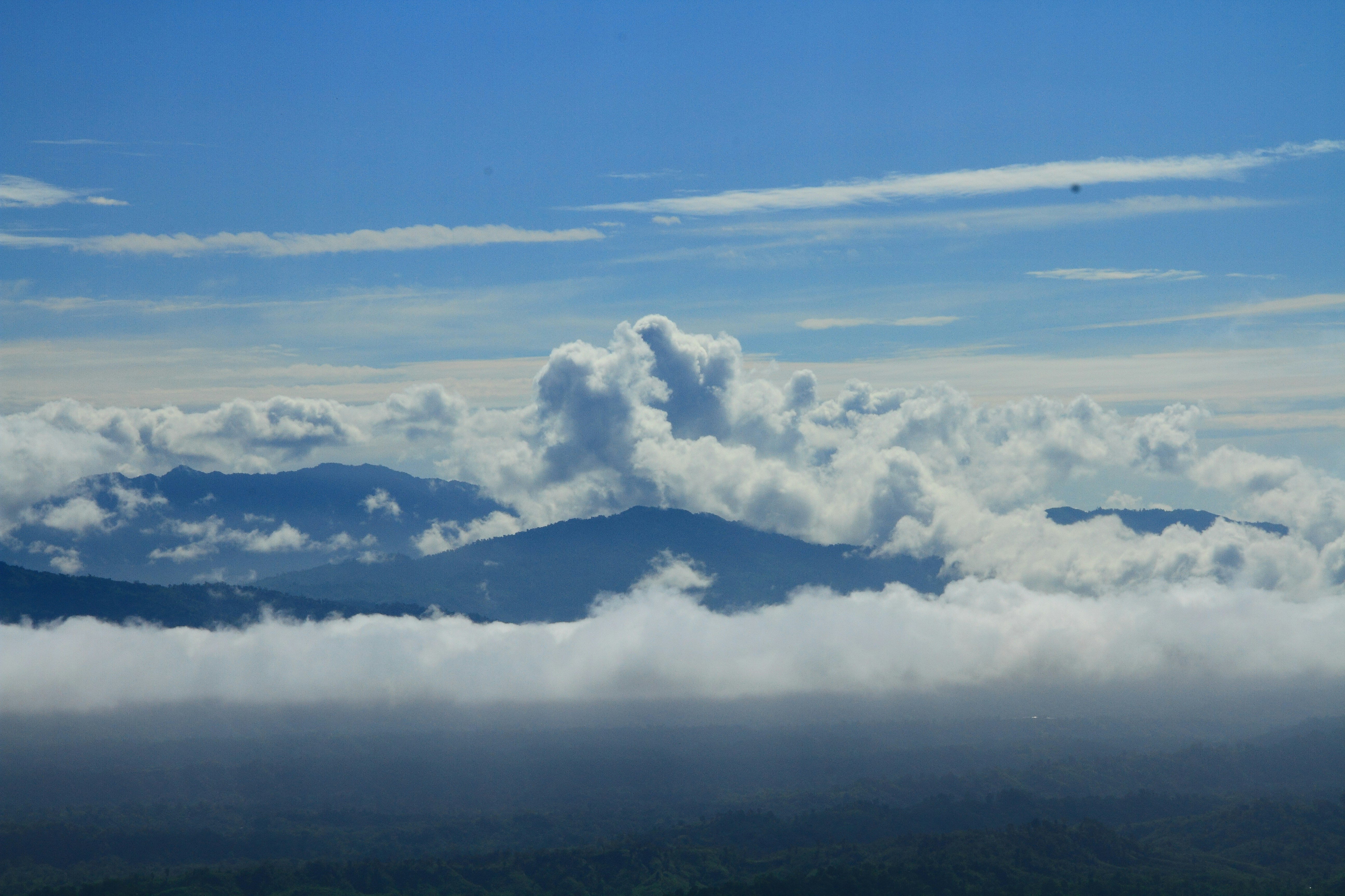 Photo by Tanvir Khan with Canon EOS 7D