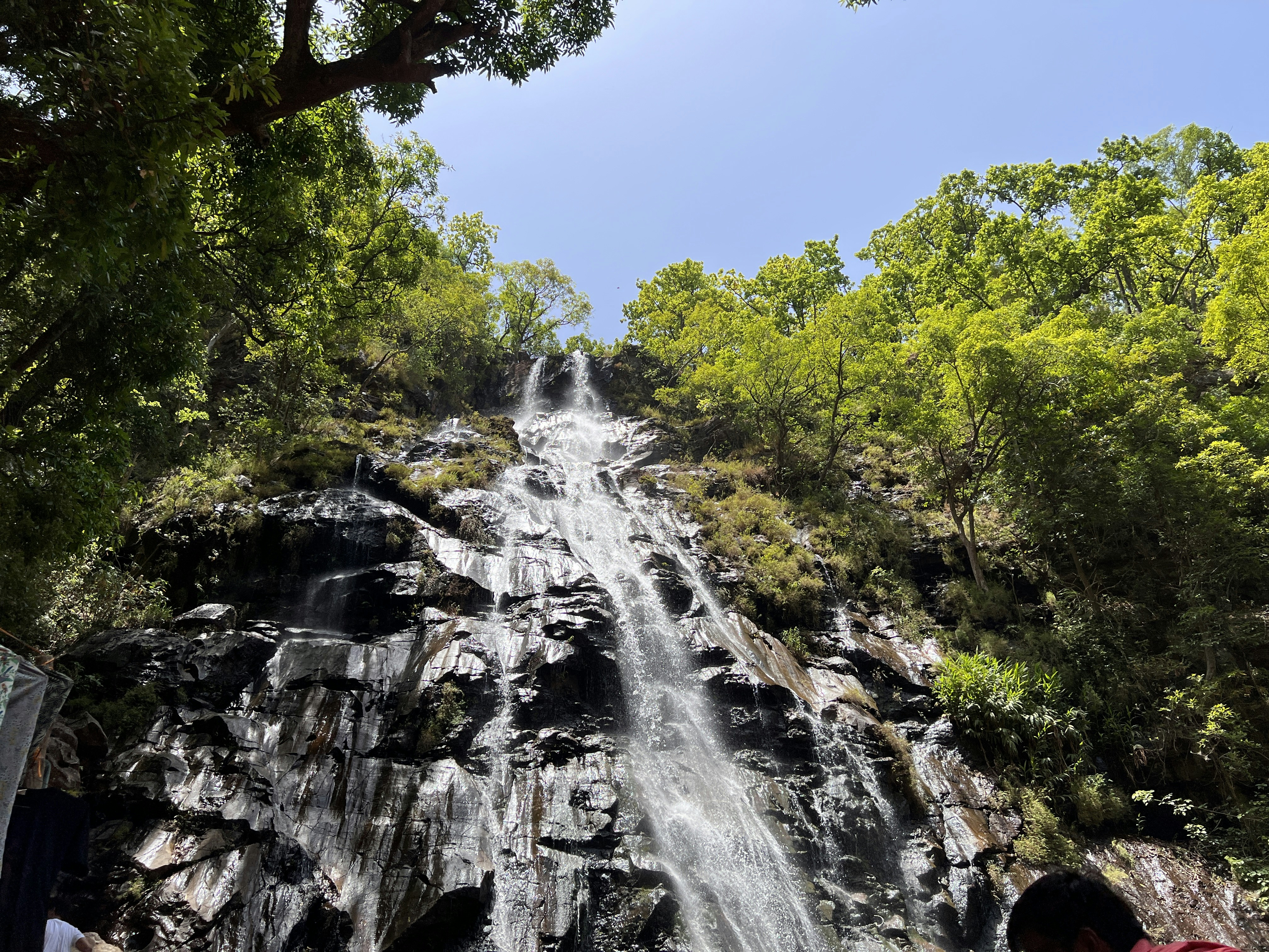 A waterfall in a forest photo – Free Bee falls Image on Unsplash