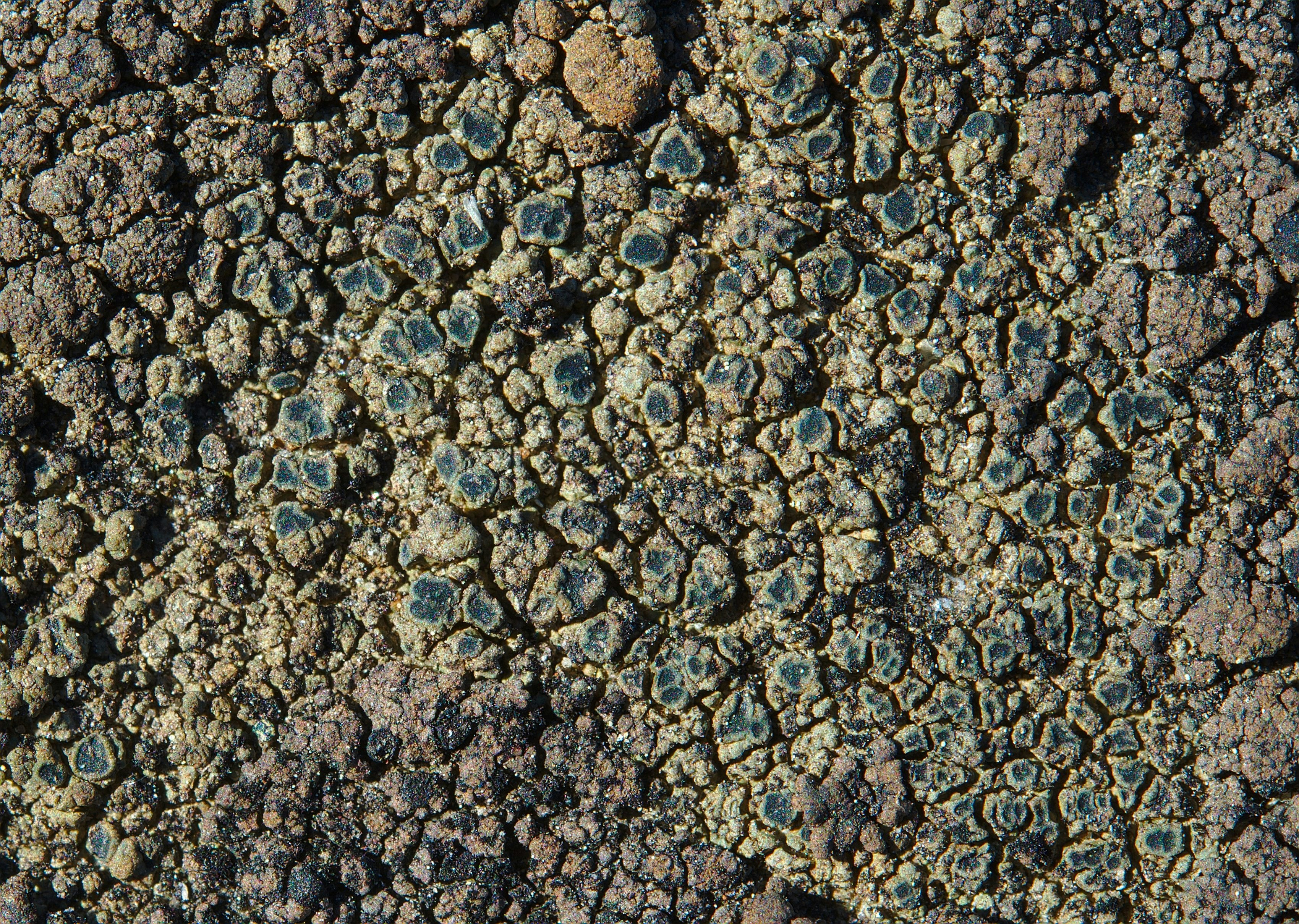 Foto zum Thema Eine Nahaufnahme einiger Felsen – Kostenloses Bild zu ...