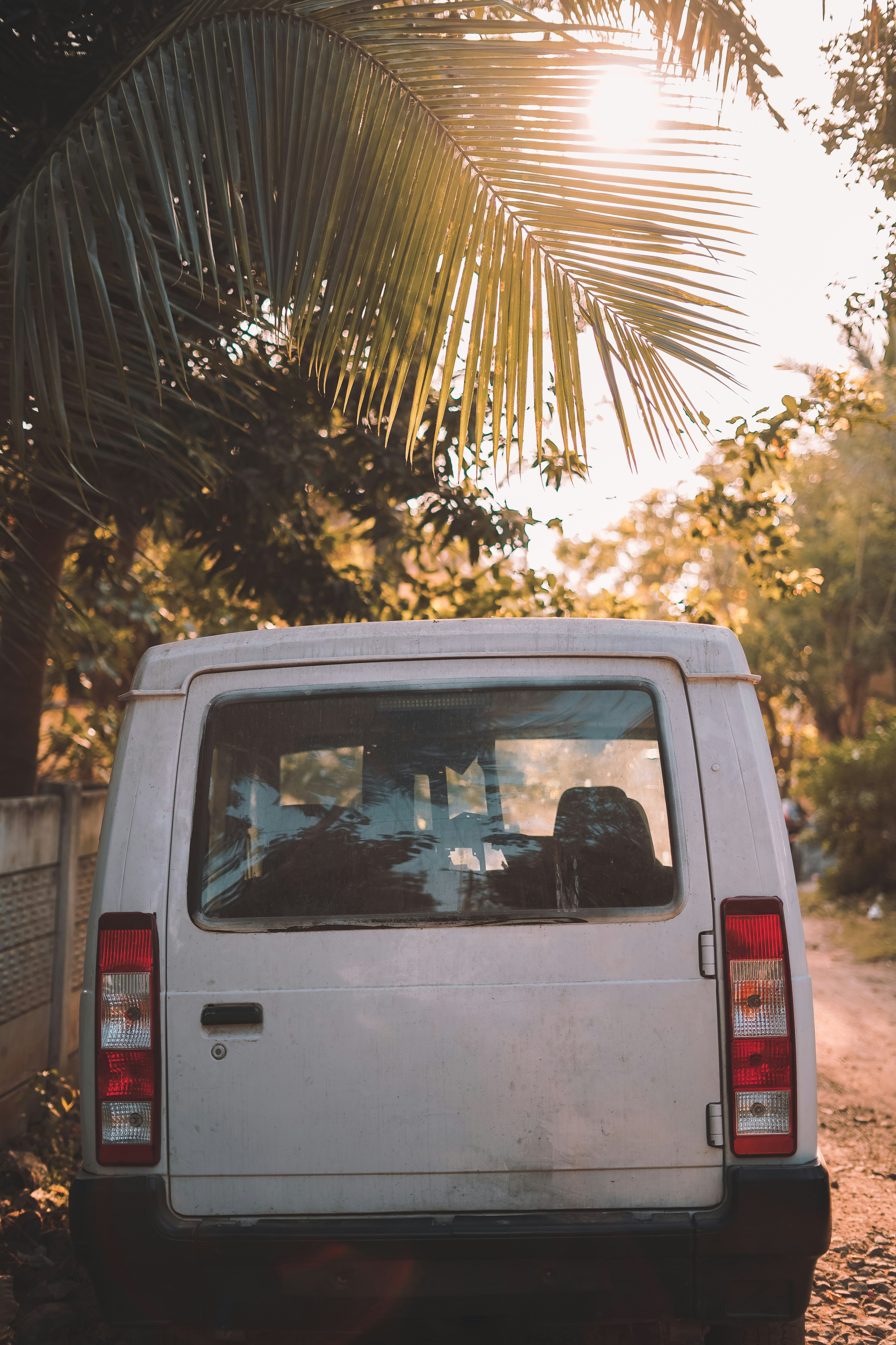 A weathered white van parked under a lush palm tree, illuminated by warm sunlight filtering through the leaves.