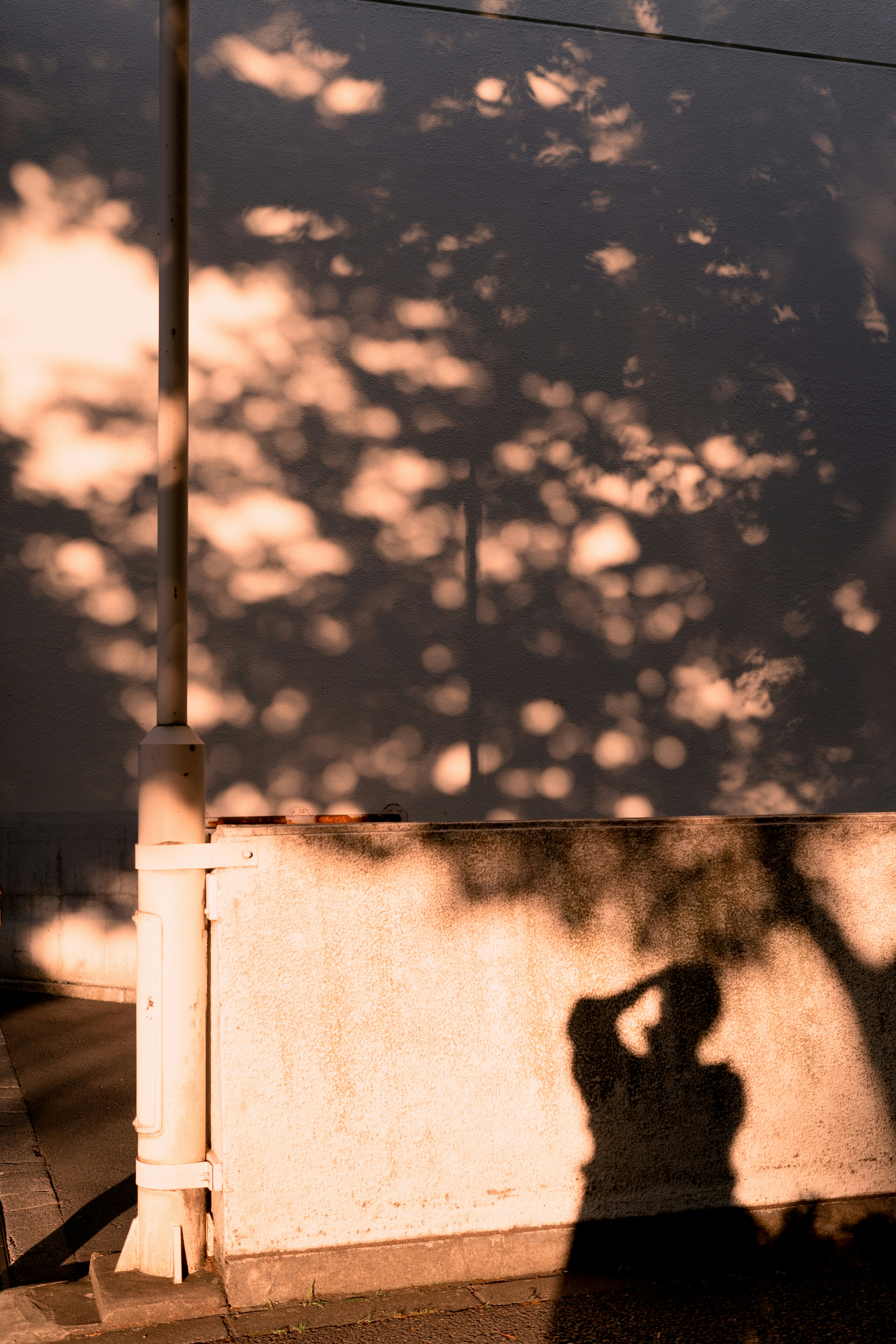 Sunset Shadow Pictures | Download Free Images on Unsplash