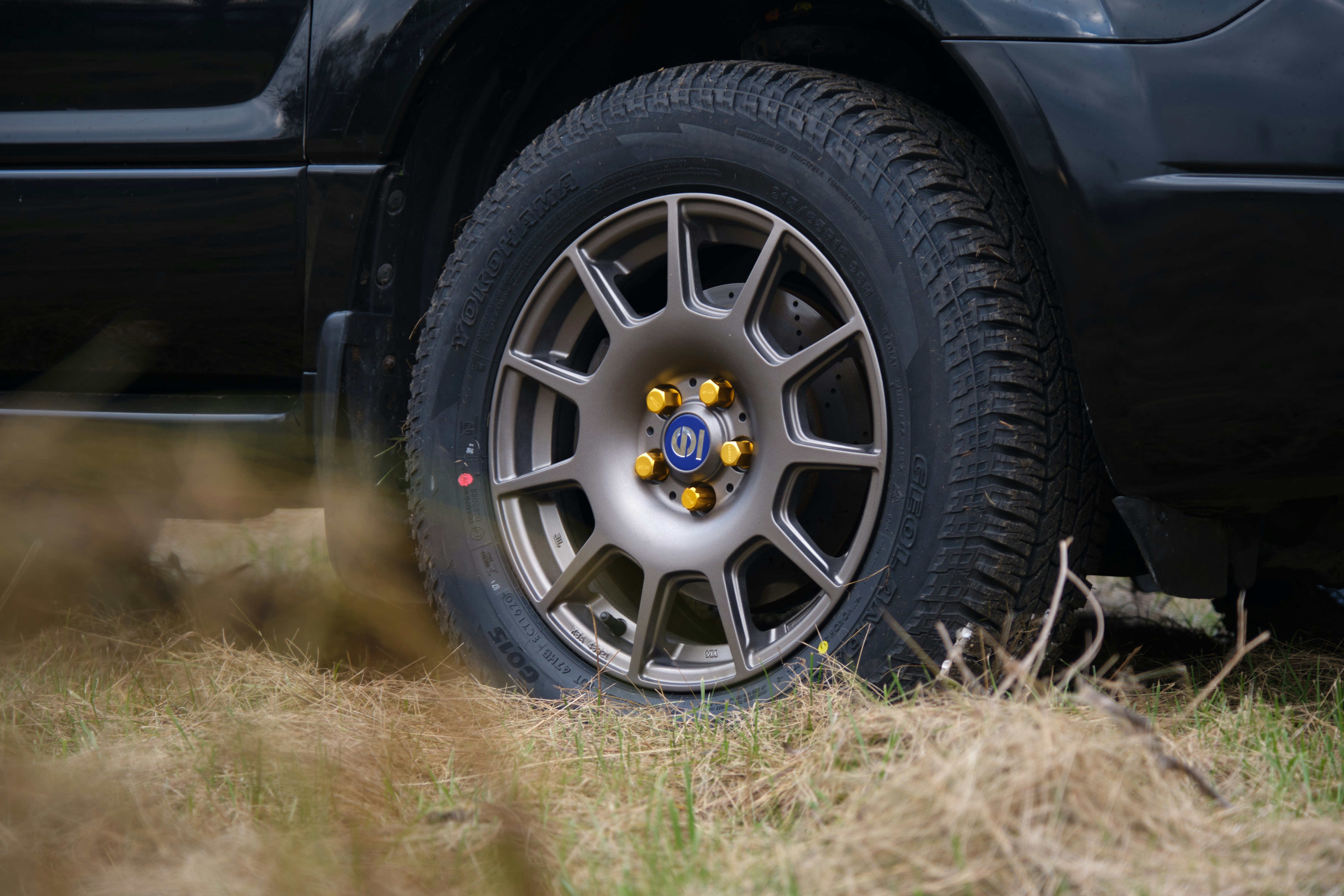 Gold-billed wheel cap gleams under dusty grass by the vehicle's side
