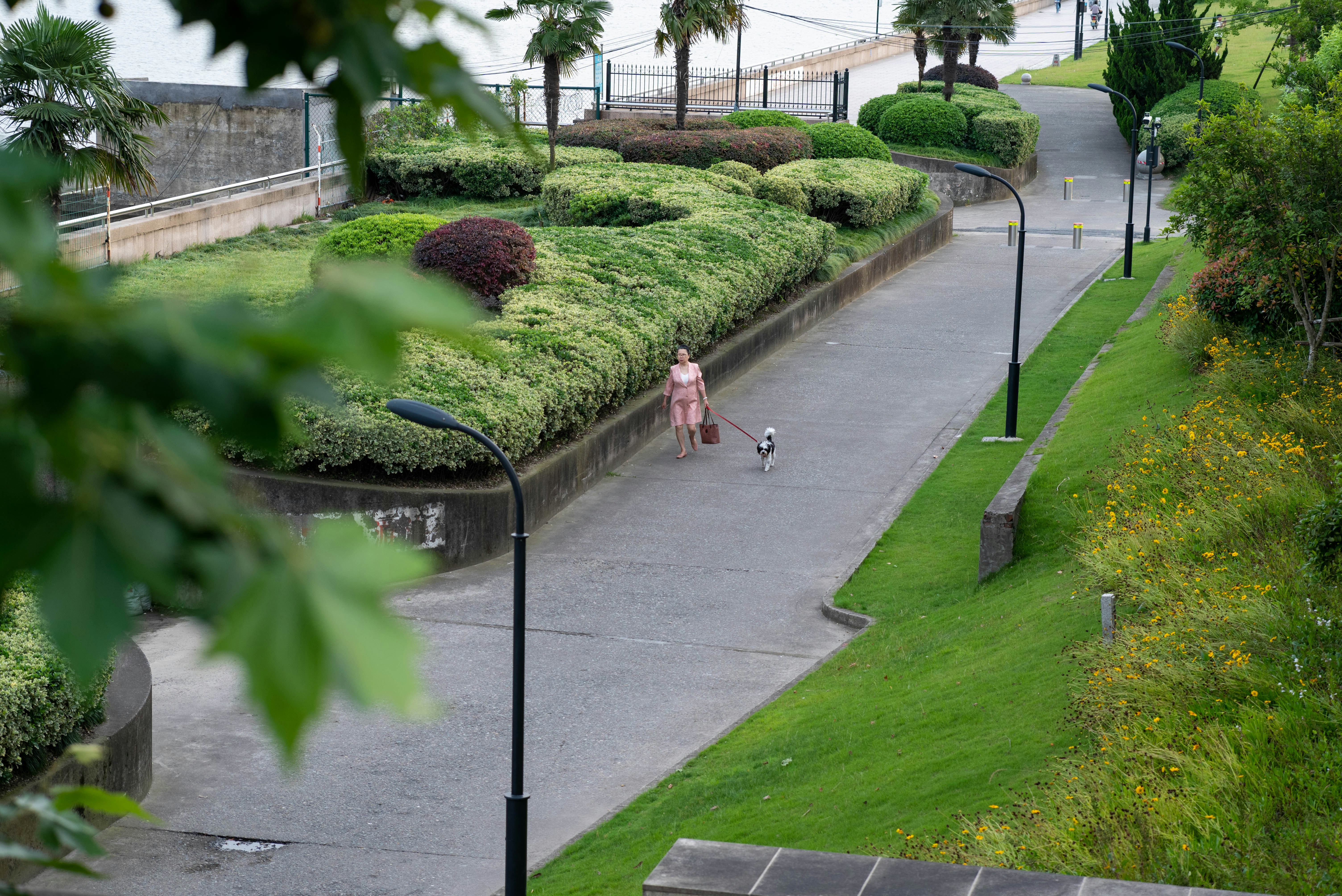 a person walking a dog on a path in a garden